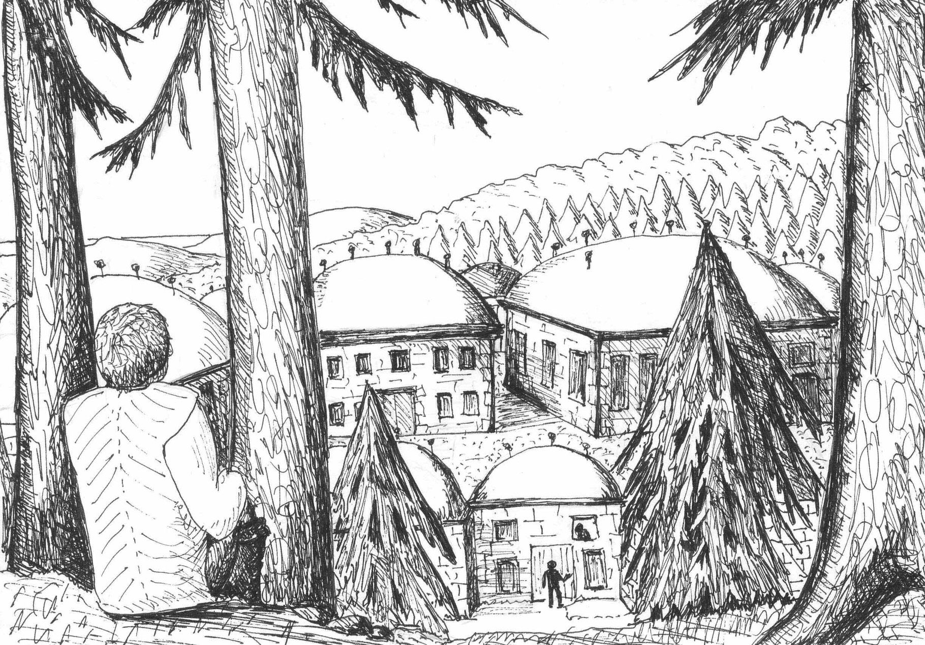 Bildergalerien - naviseptas Webseite!