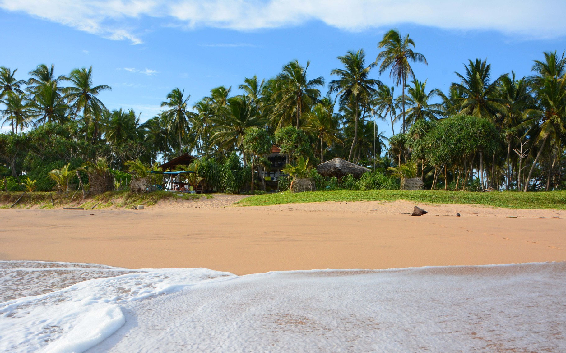 Seven Turtles - emmisbergersrilankas Webseite!