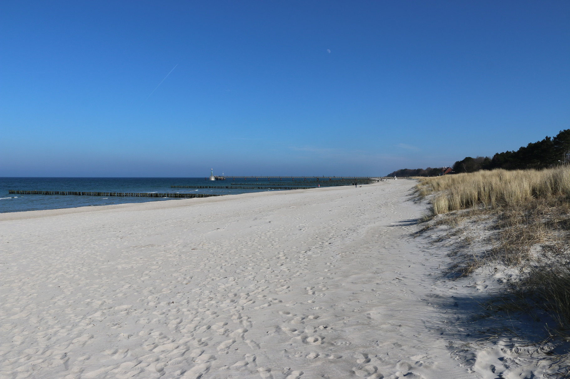 Strandaster Zingst - Ferienwohnung Strandaster-Zingsts Webseite!