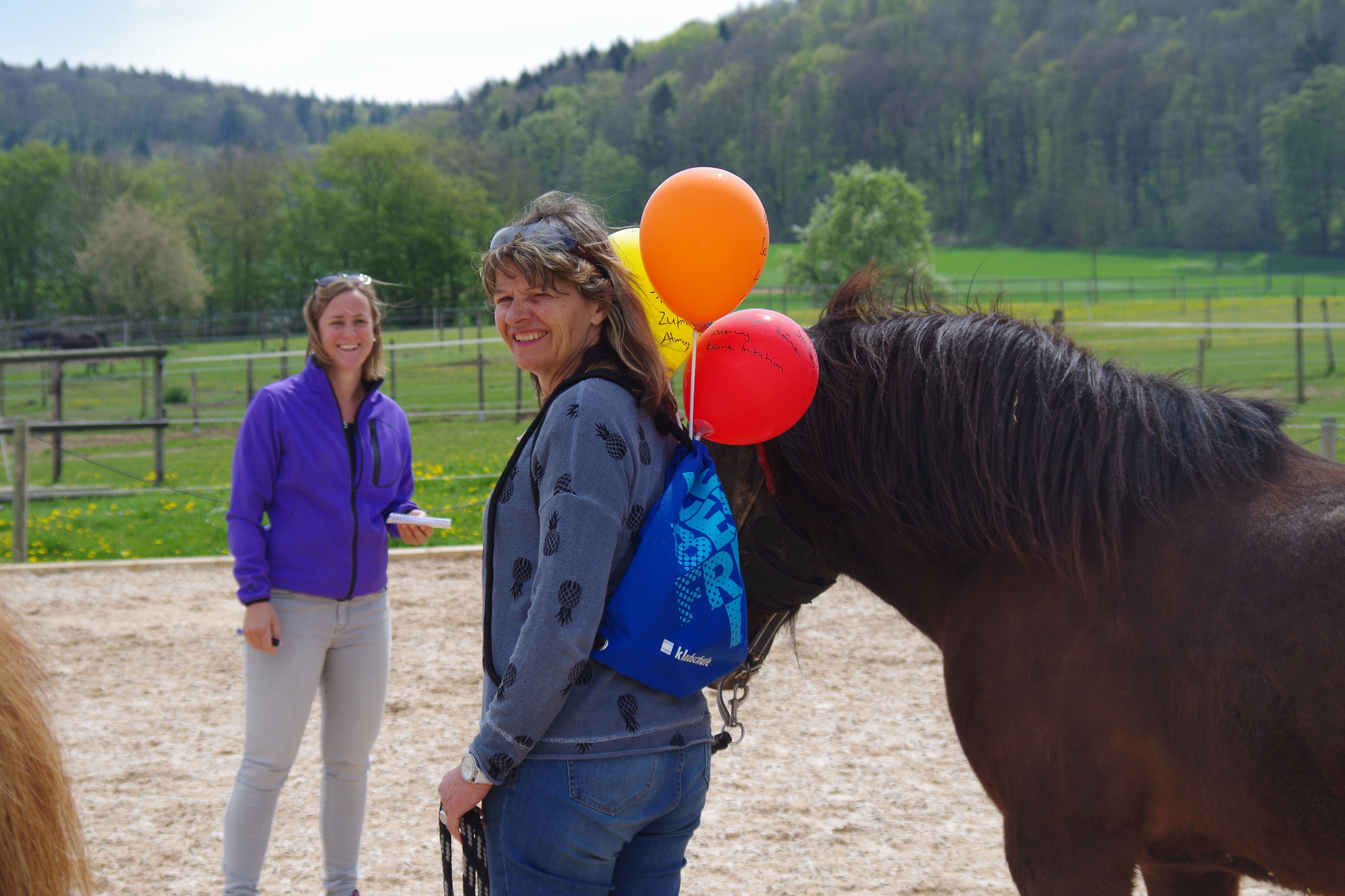 Pferdegestütztes Coaching - Sarah Stoll