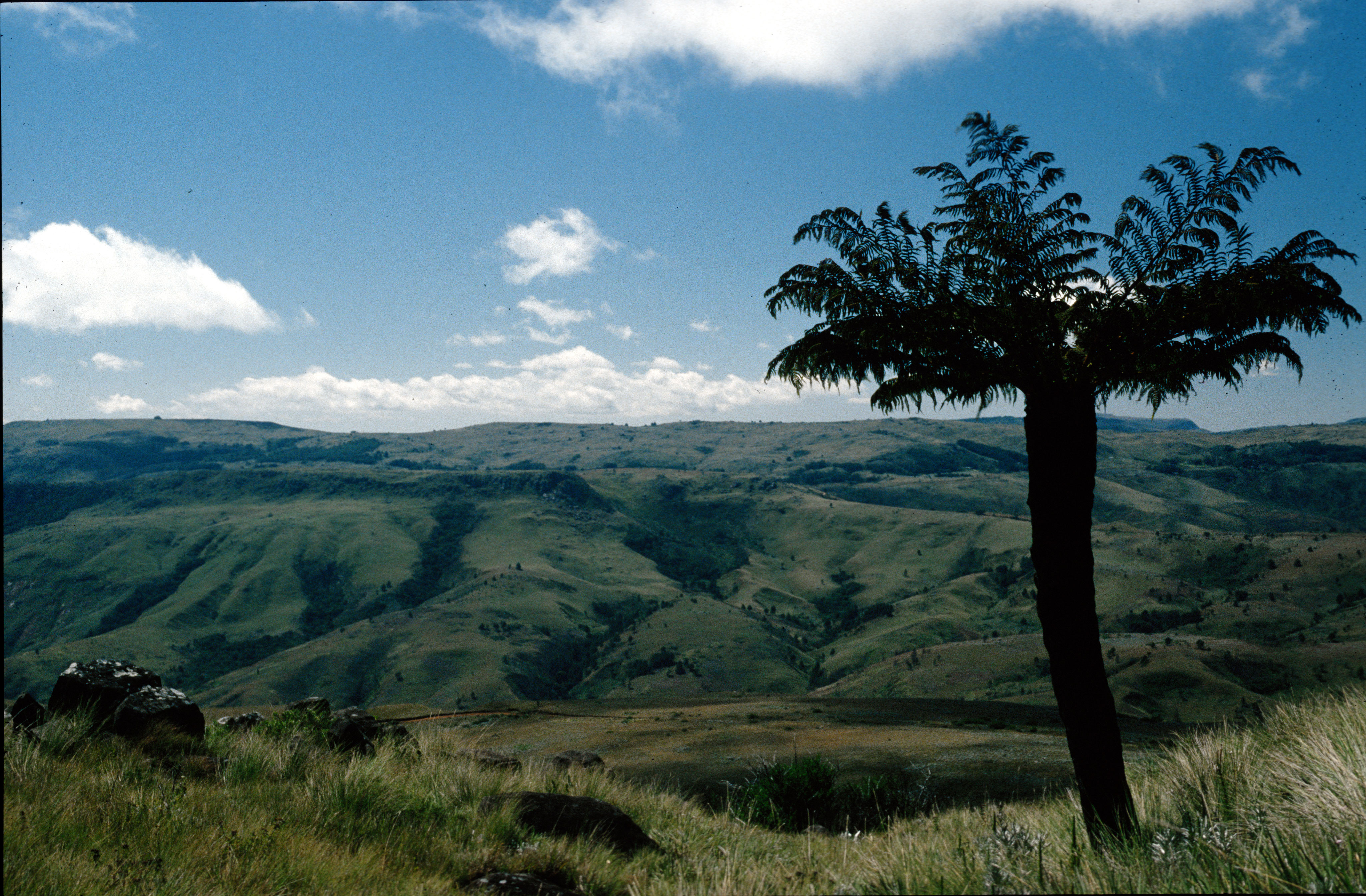 Eastern Highlands - matenga-safariss Webseite!