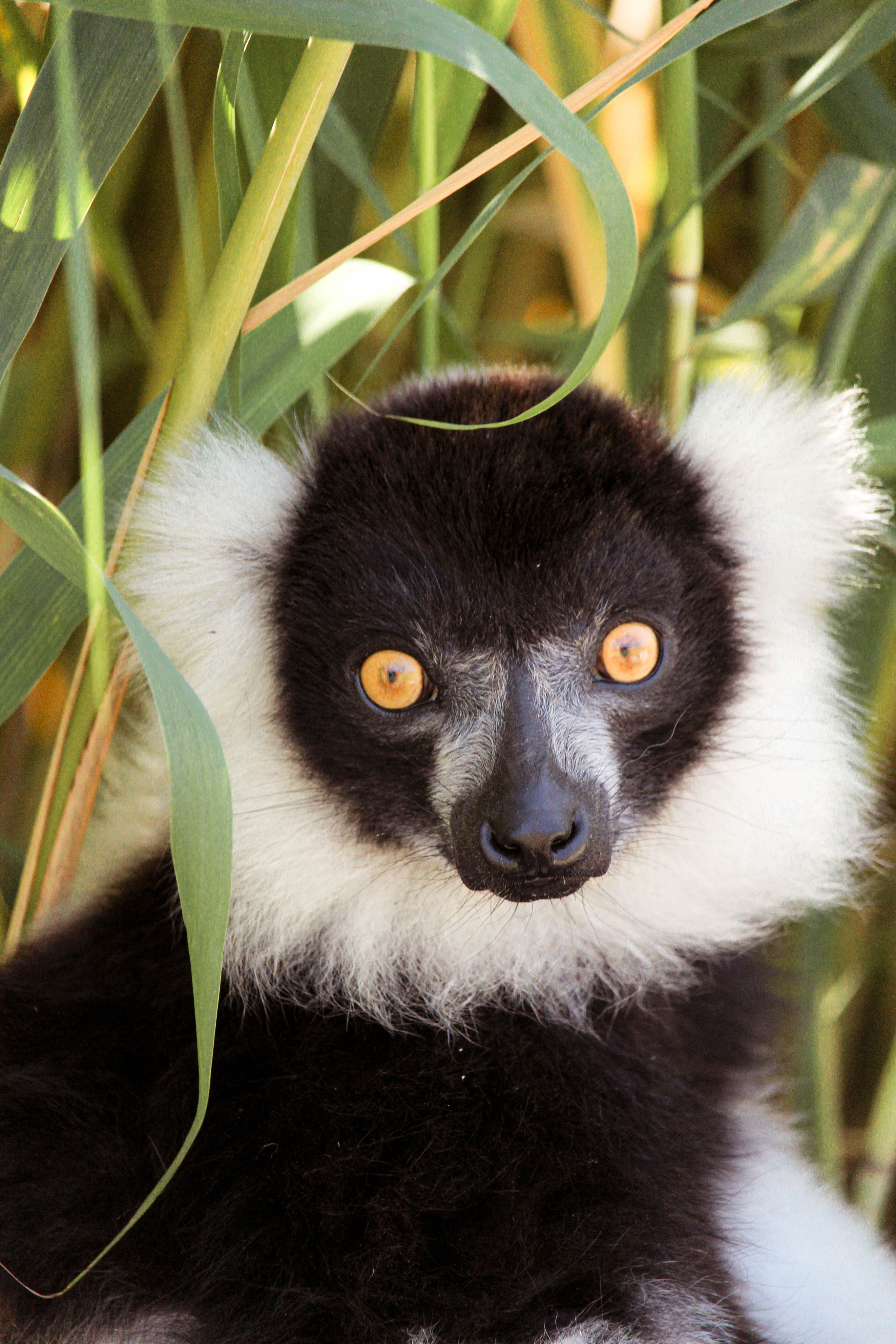 Home - De website van kellymulderfotografie!
