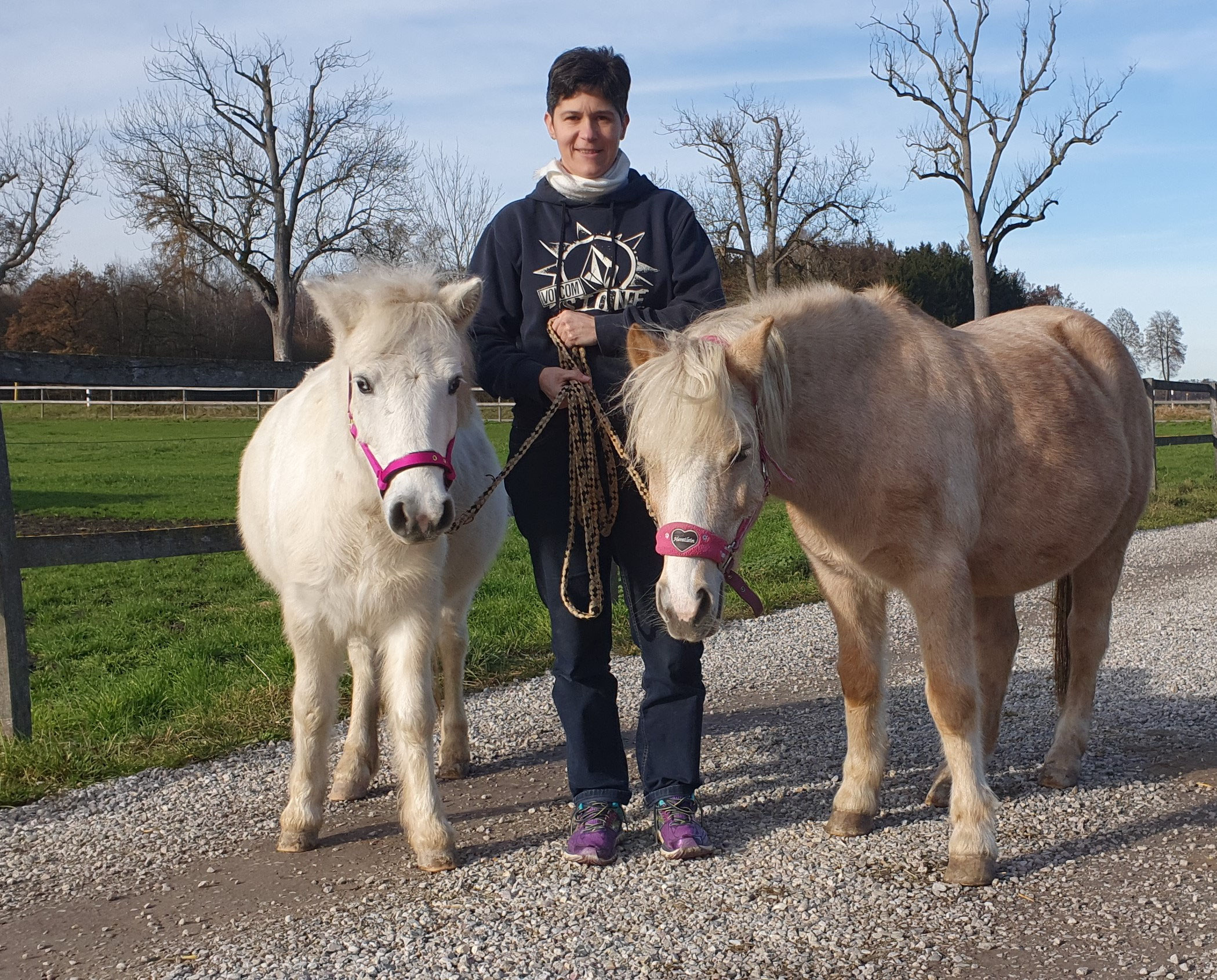Kinder & Ponies - 1516304519s Webseite!