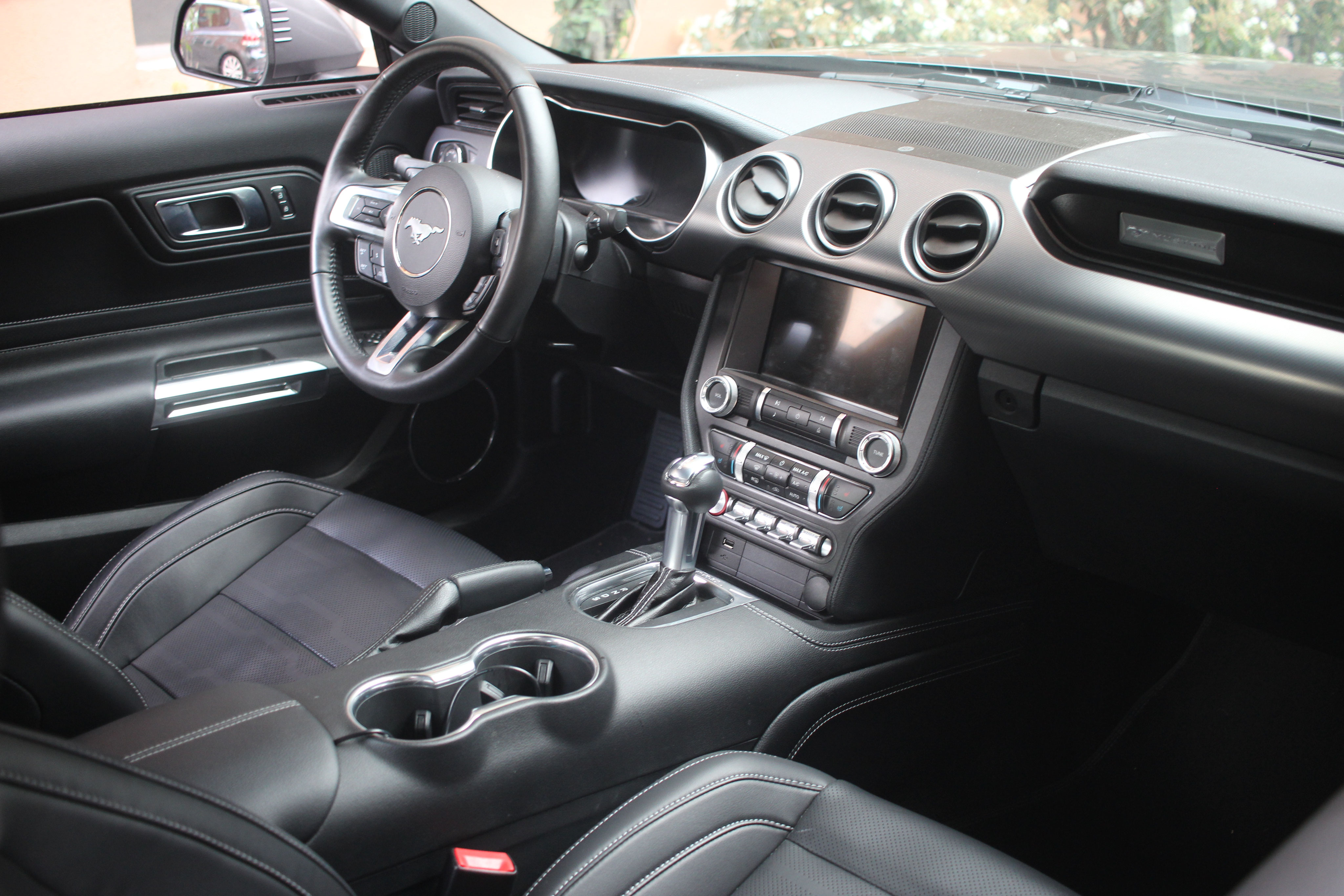 2017 Mustang Interior | Cabinets Matttroy