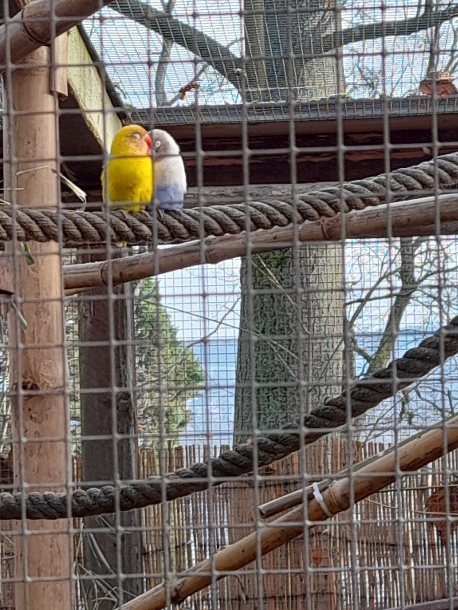 Wildgehege Ochtersum - fips-ev.de