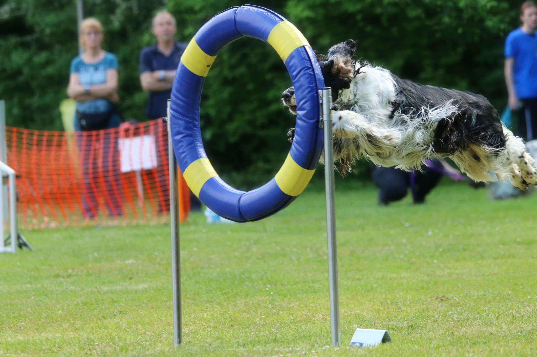 Agility & Co. - Felicitous