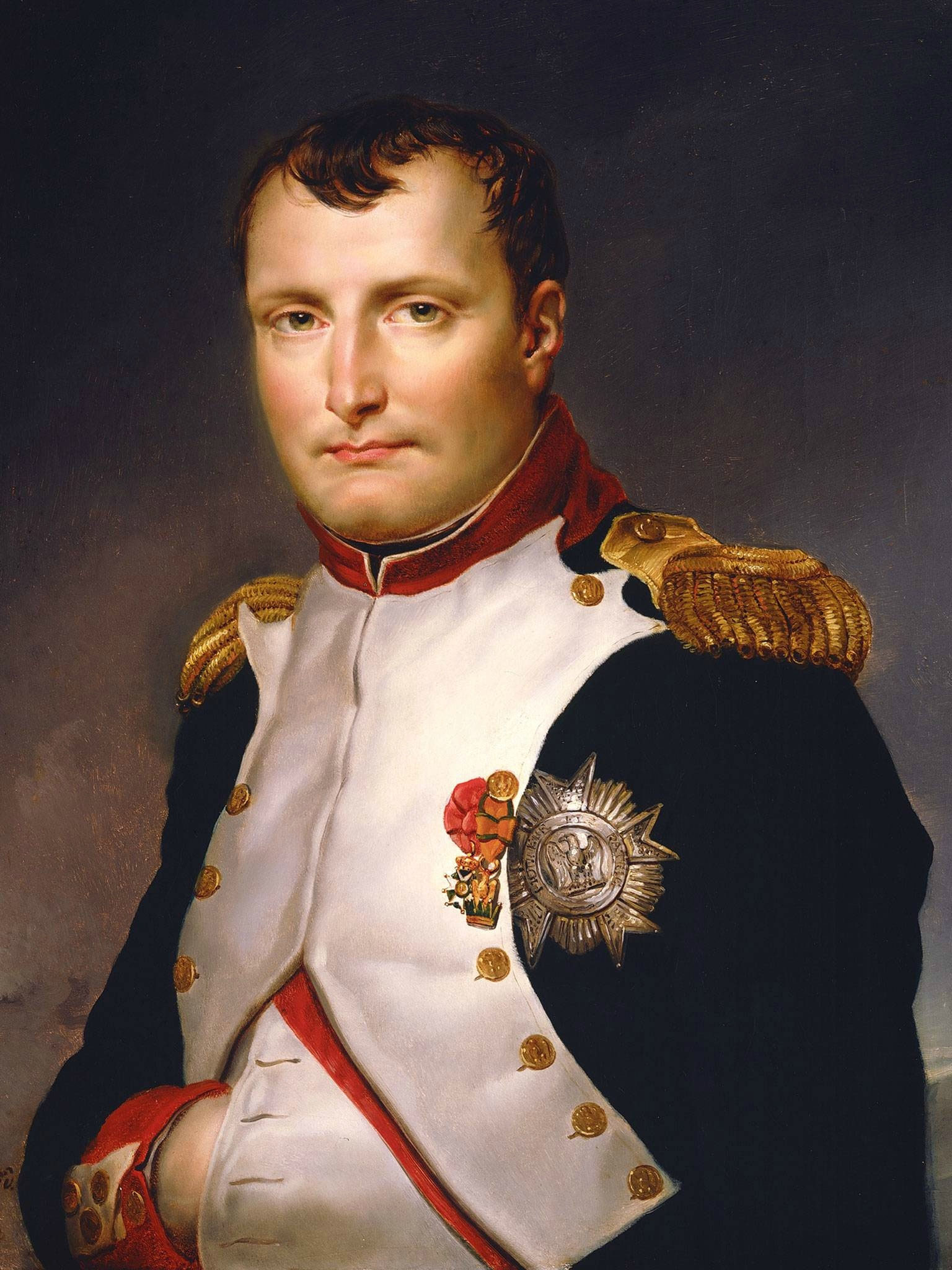 Napoléon 1er - Site de syndromedegilbert