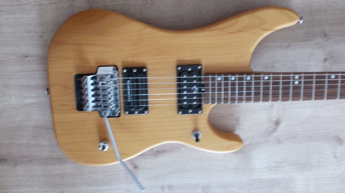 Washburn N2 Nuno B. Signature - rainers private Webseite