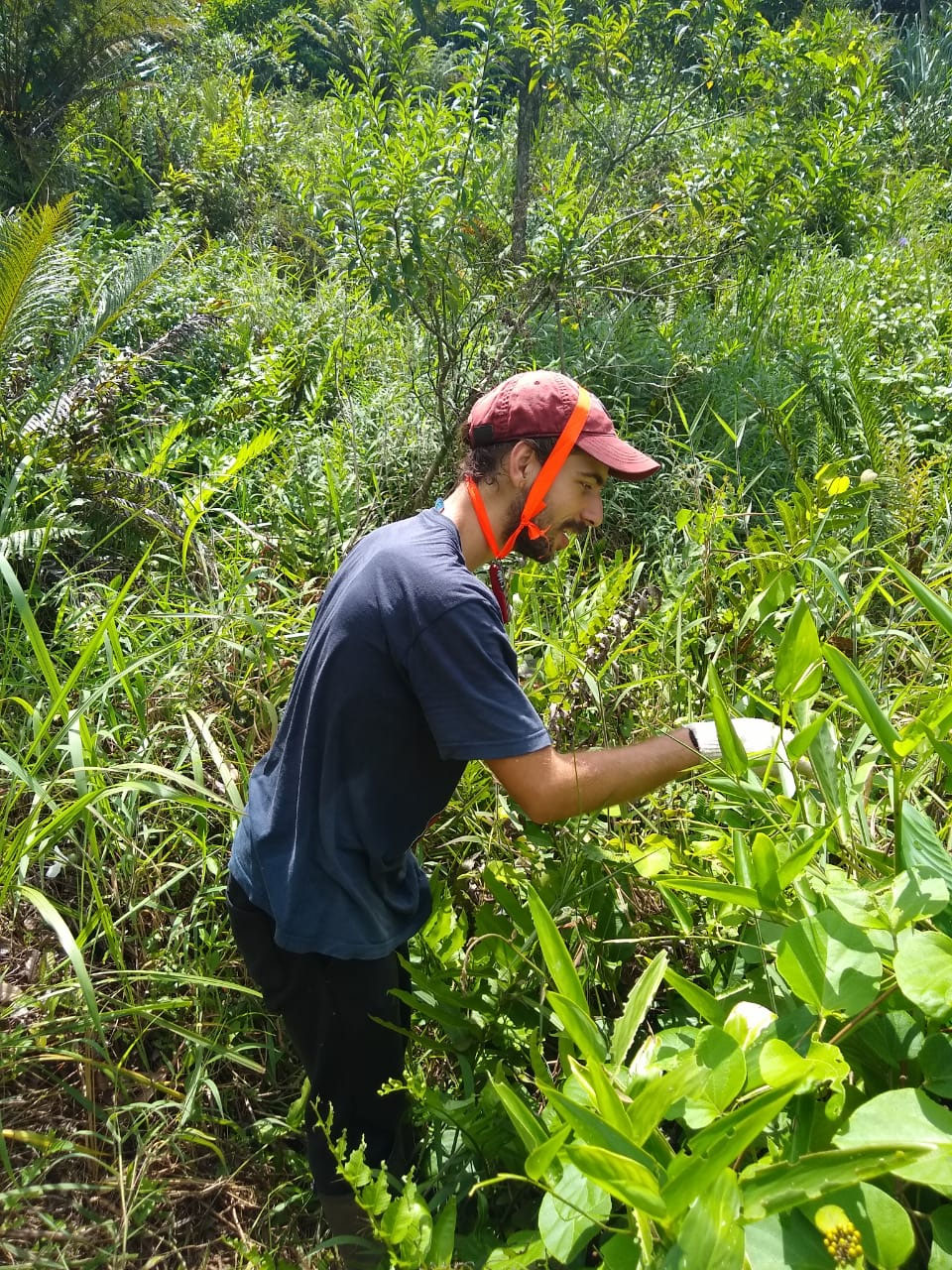 Fieldwork in a Brazilian protected area surrounded by an urban ...