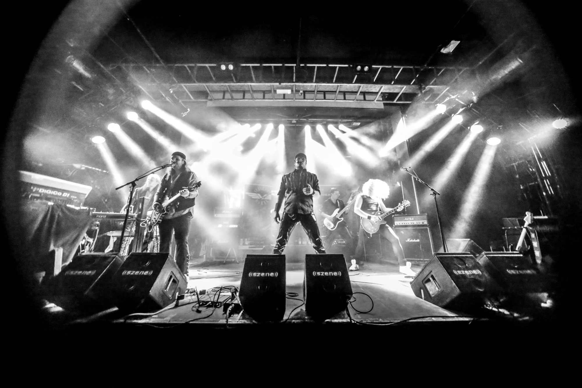 Gallery - Official Sergeant Steel website