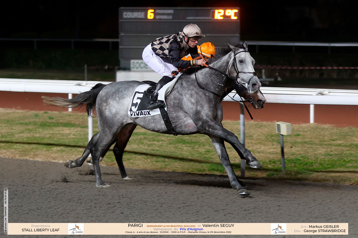 Galerie - Markus Geisler