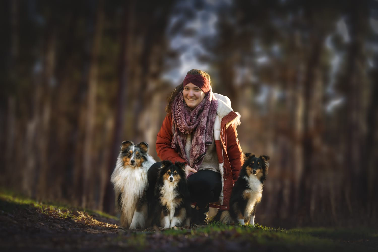Herzlich Willkommen auf unserer Seite der Crazy Roots Shelties und ...