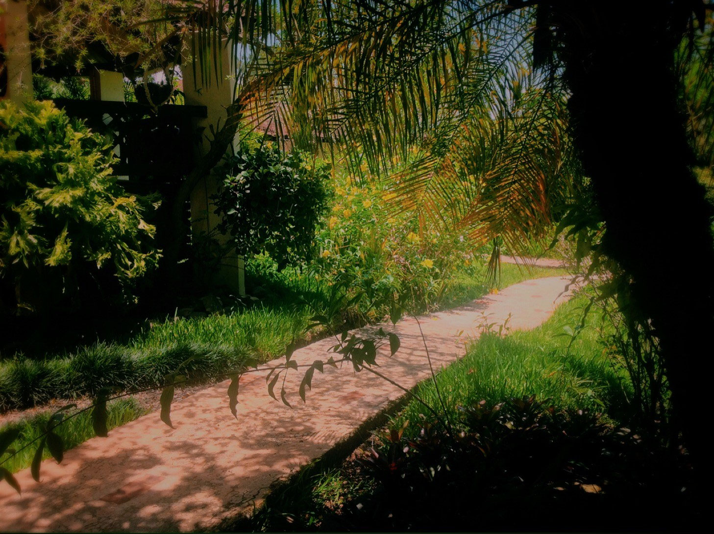 Landscape in the Dominican Republic - Página web de dmchannel