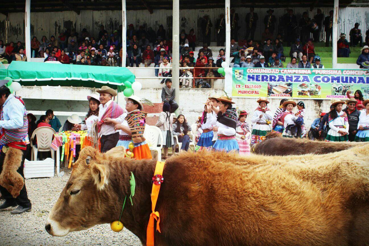 PACCHA - Página web de turismo-regiones-junin-peru-16