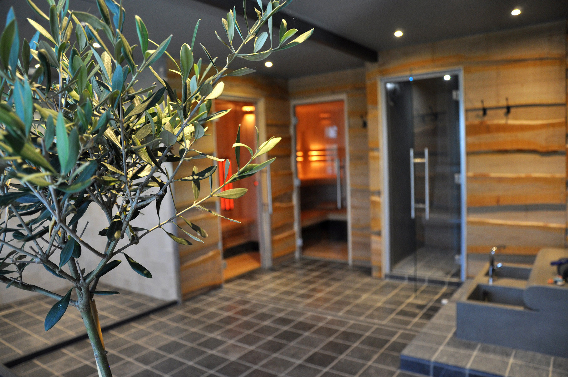 Wellness arrangement, beauty arrangement of privé sauna - Betuwsch ...