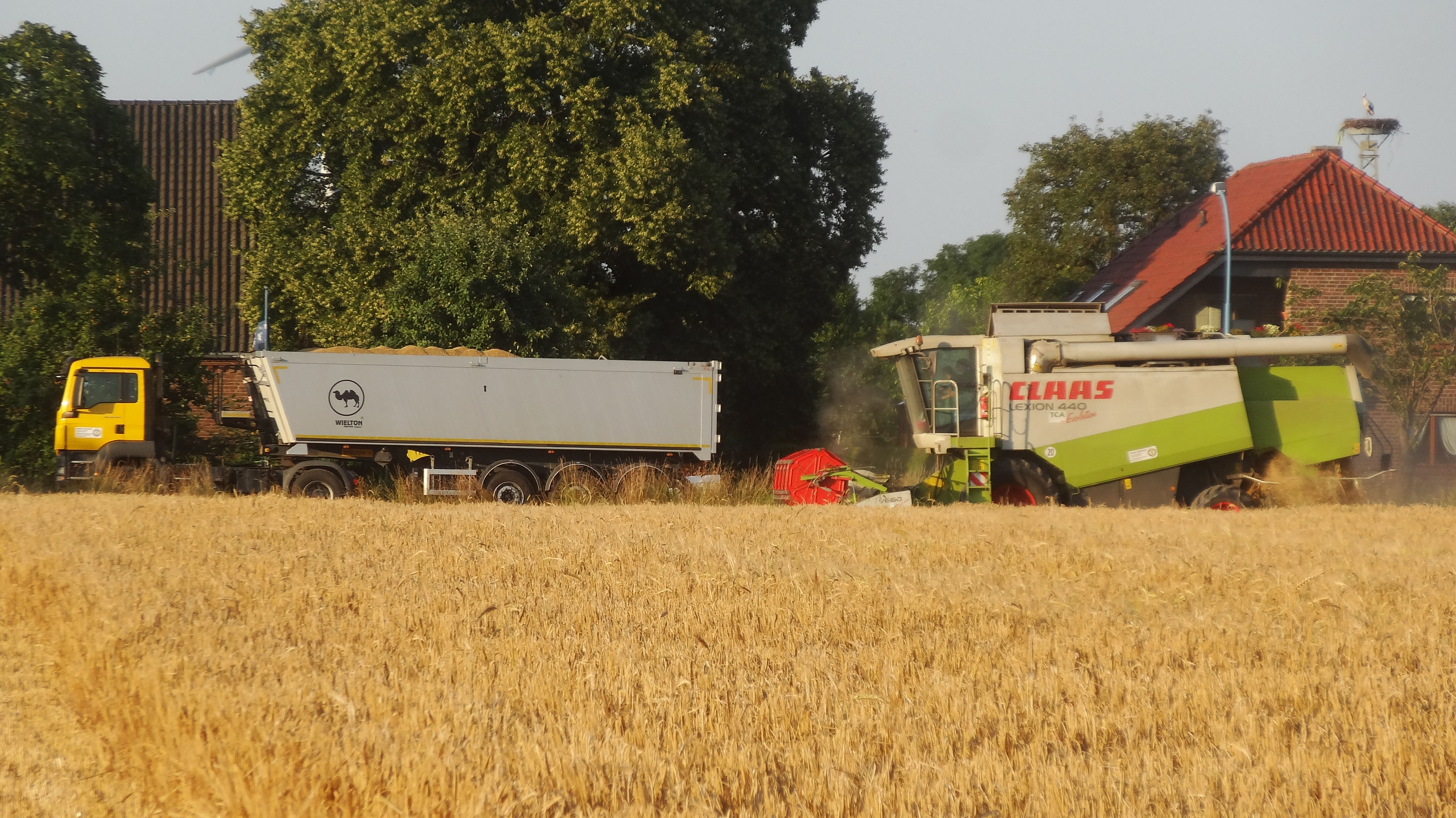 Raps-, Getreide- und Grassamendreschen - Lohnunternehmen Josef Janssen