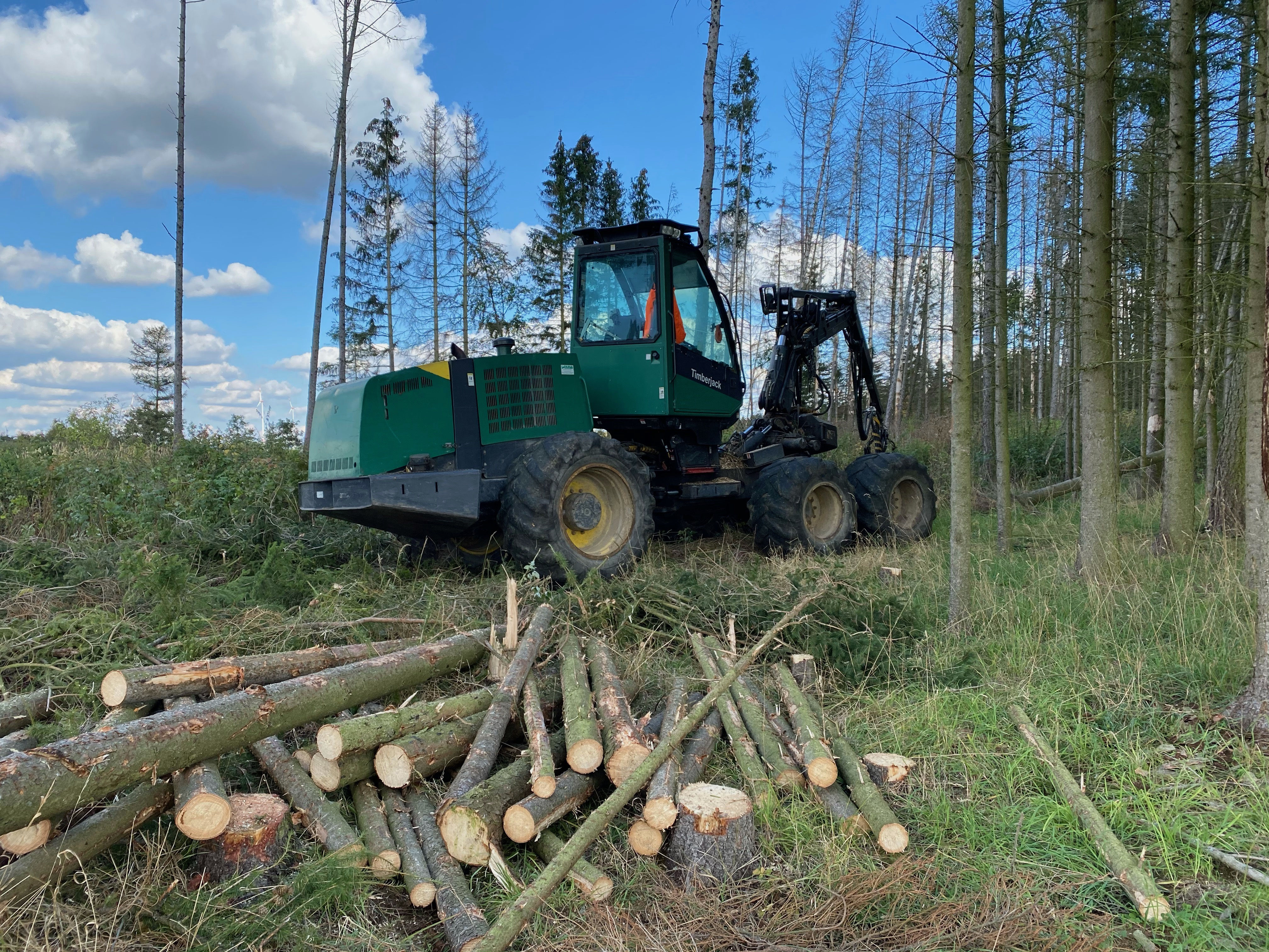 Rodungsarbeiten vorerst abgeschlossen - gchofs Webseite!