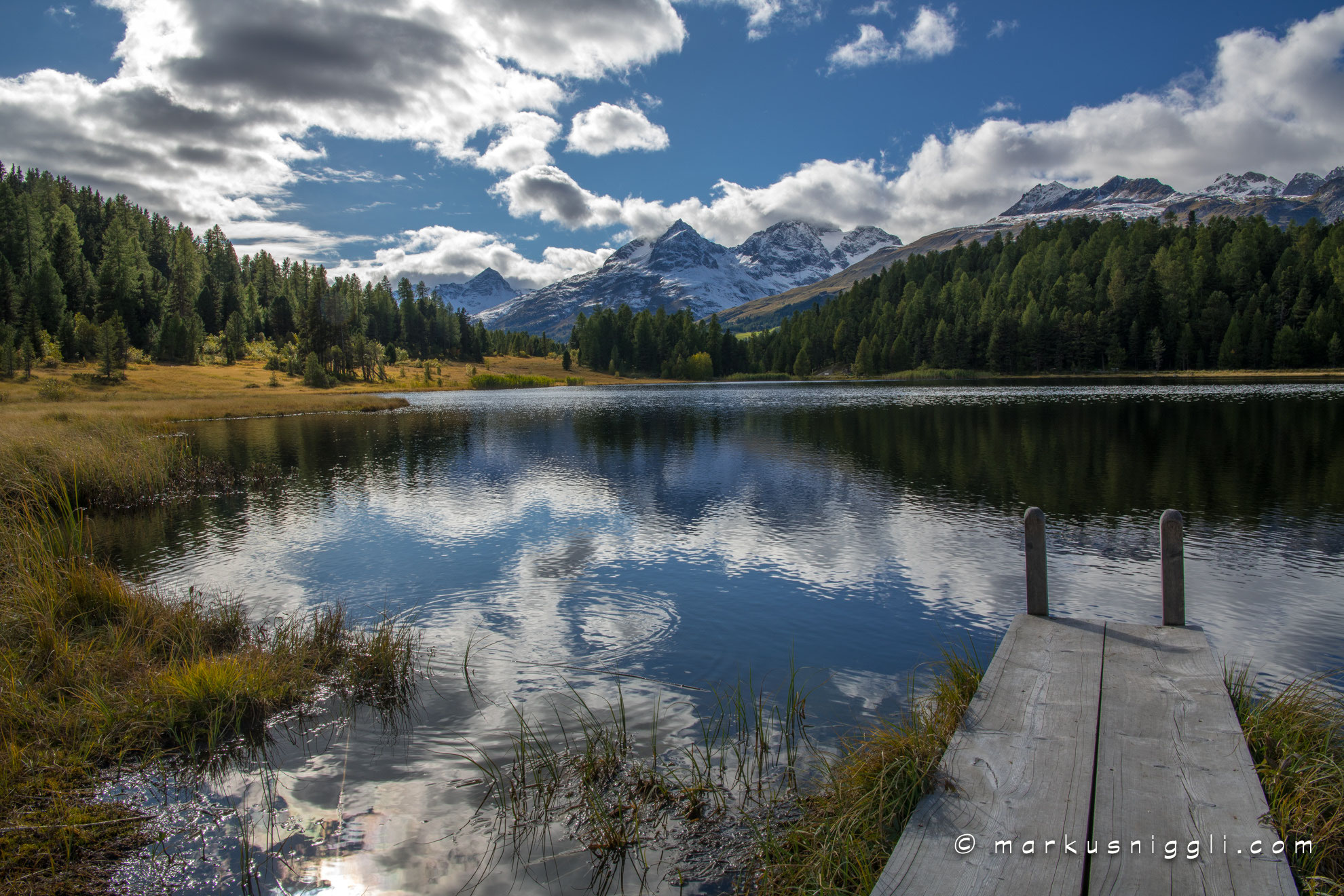 Engadin - Markus Nigglis Tier, Landschafts und Natur Fotos