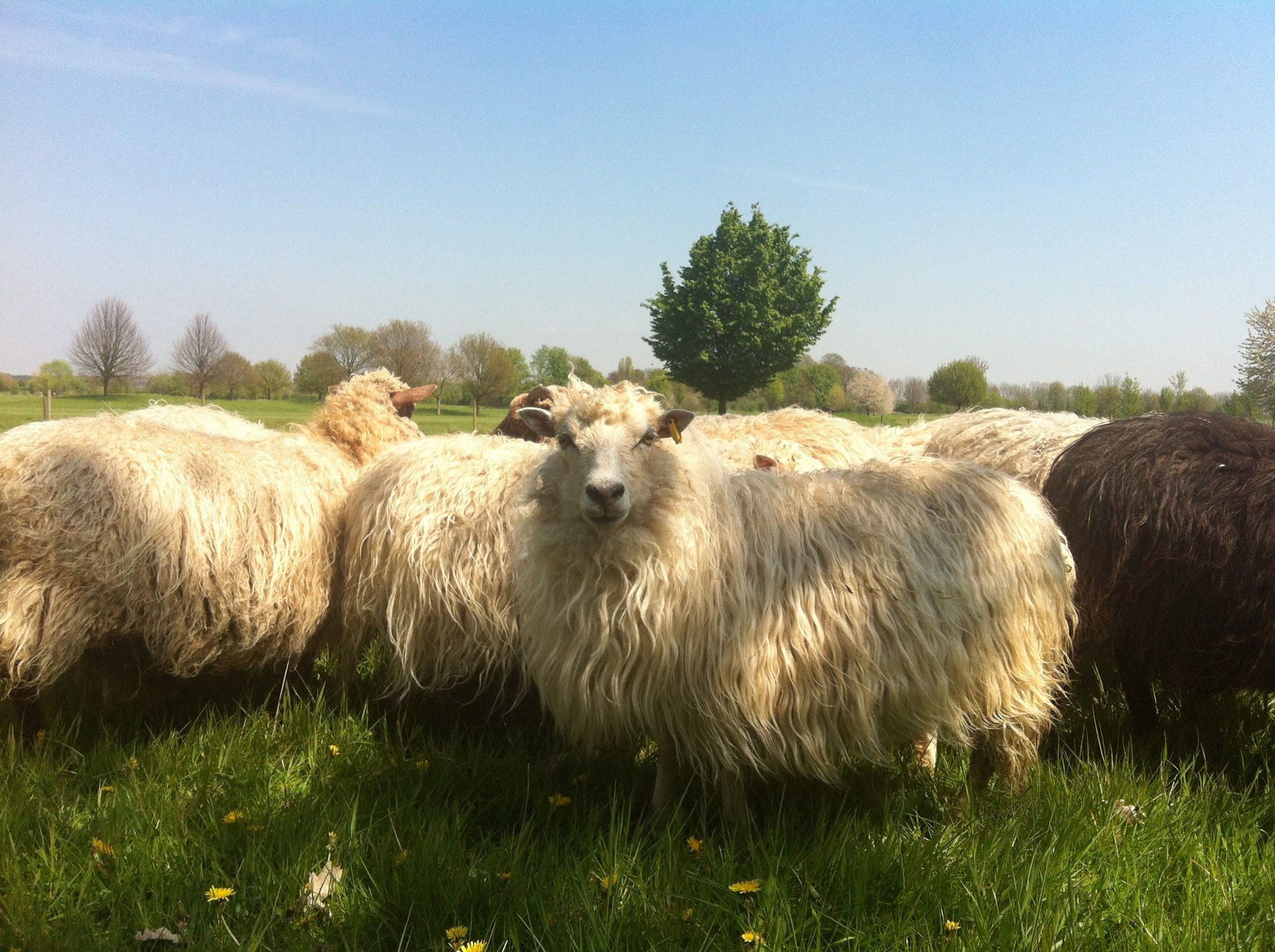 Farben der Skudden - bunte-skuddens Webseite!