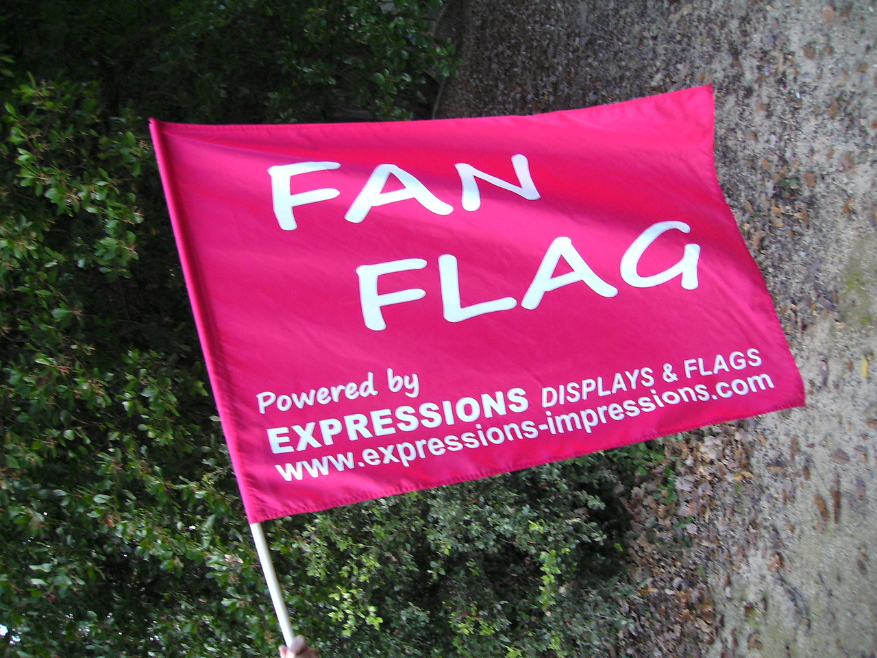 Team, Fan, Team Spirit Flags and banners for your events - EXPRESSIONS ...