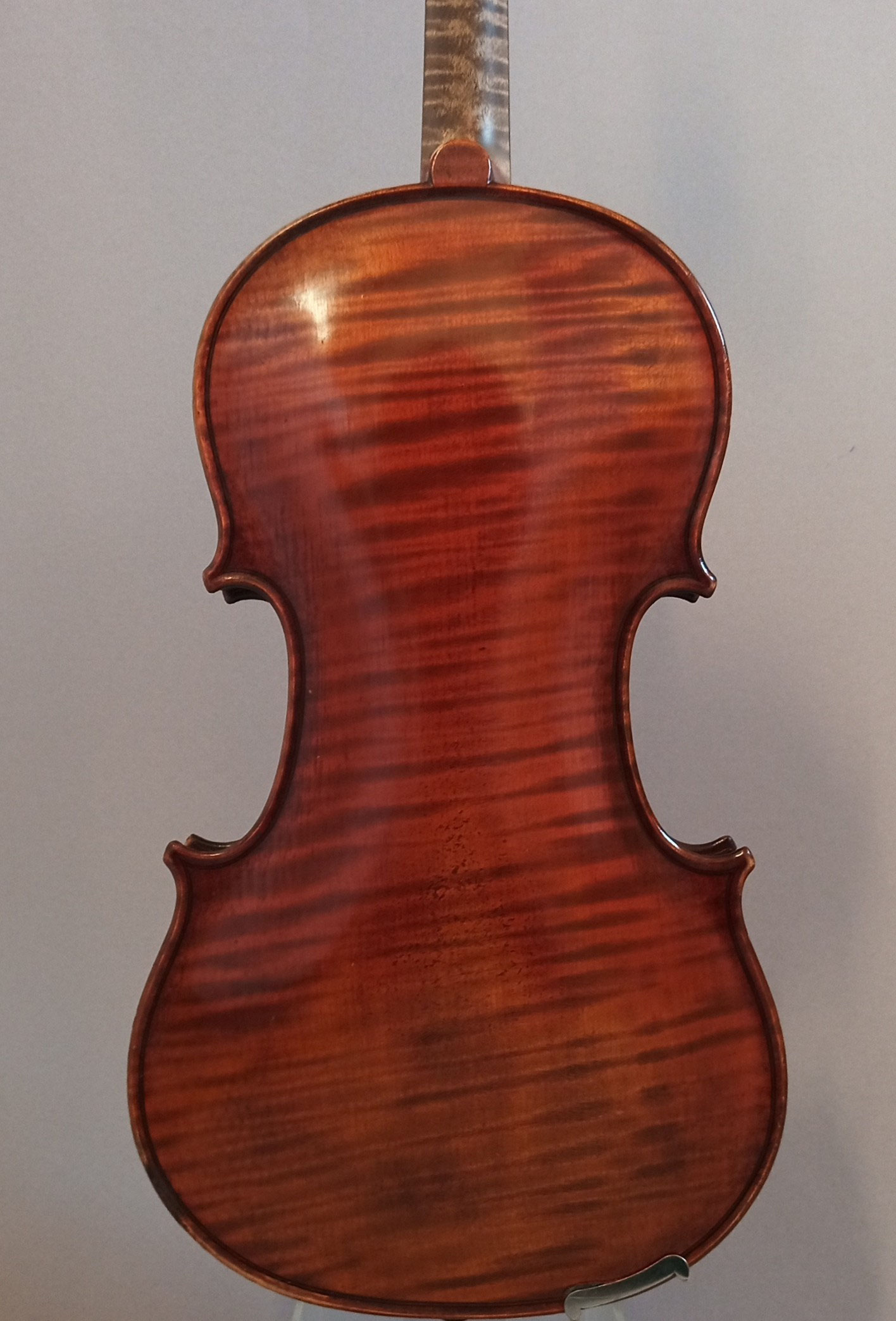Violin - violins and more fine stringed instruments