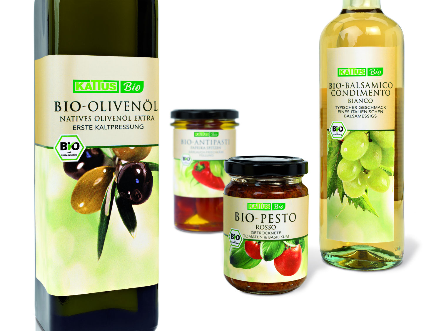 KATTUS | Bio - DesignKis Webseite!