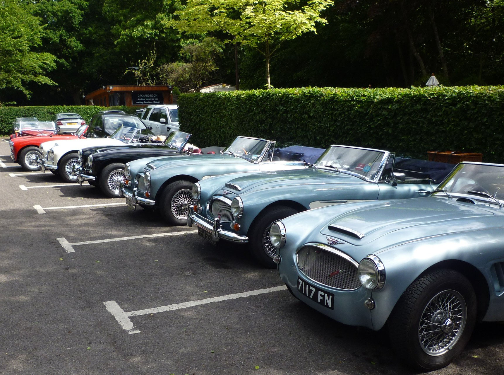 Robert Lewis Collection - Austin Healey Club Thames Valley Centre