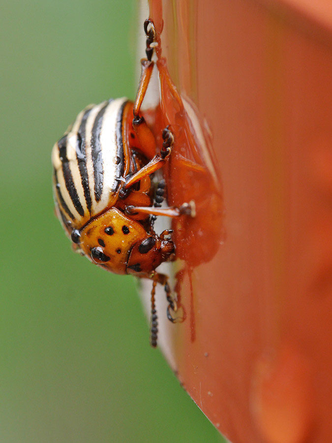 Tag 71 - Stefanie Hamm