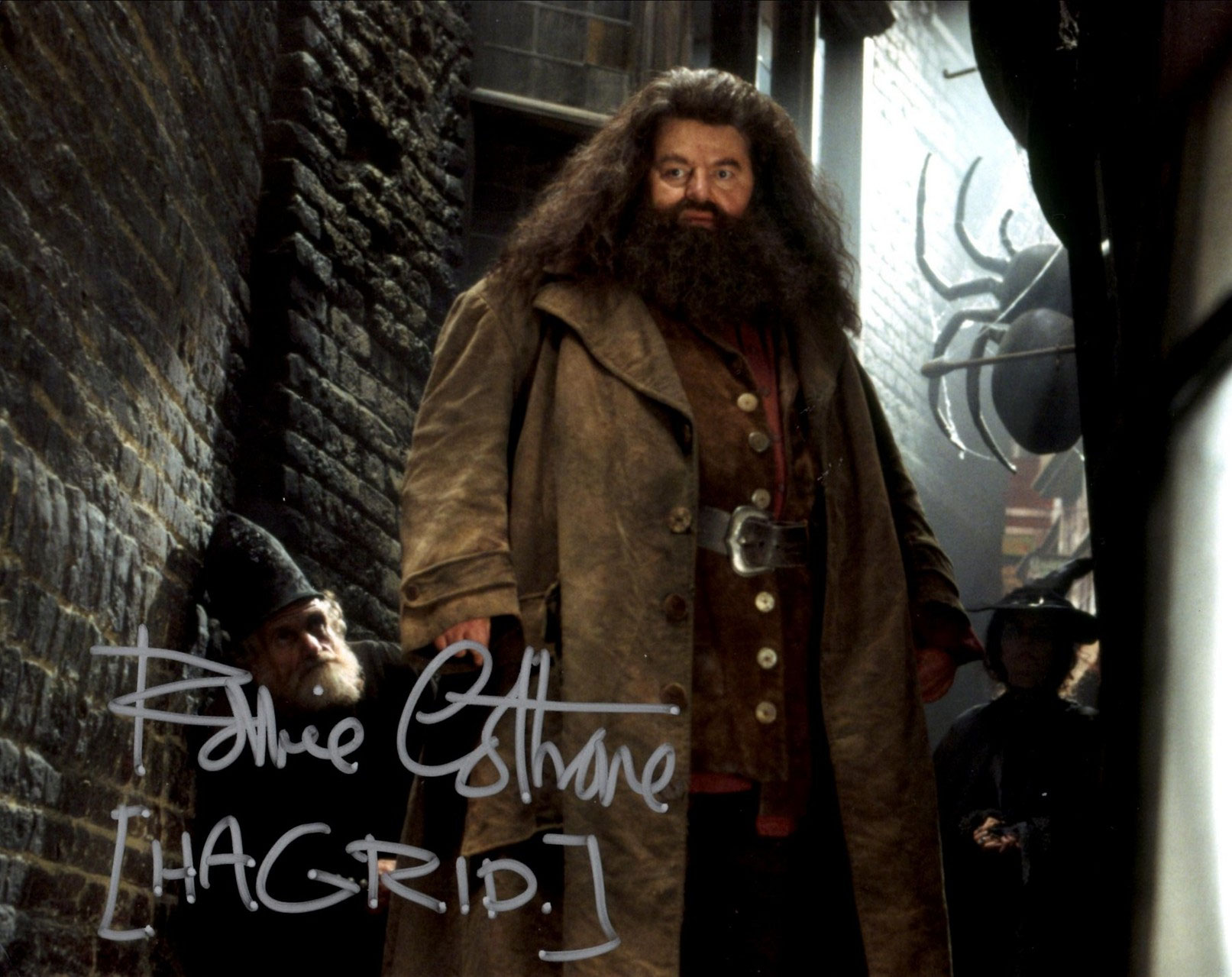 HARRY POTTER: Hogwarts Staff - potterlostautographs