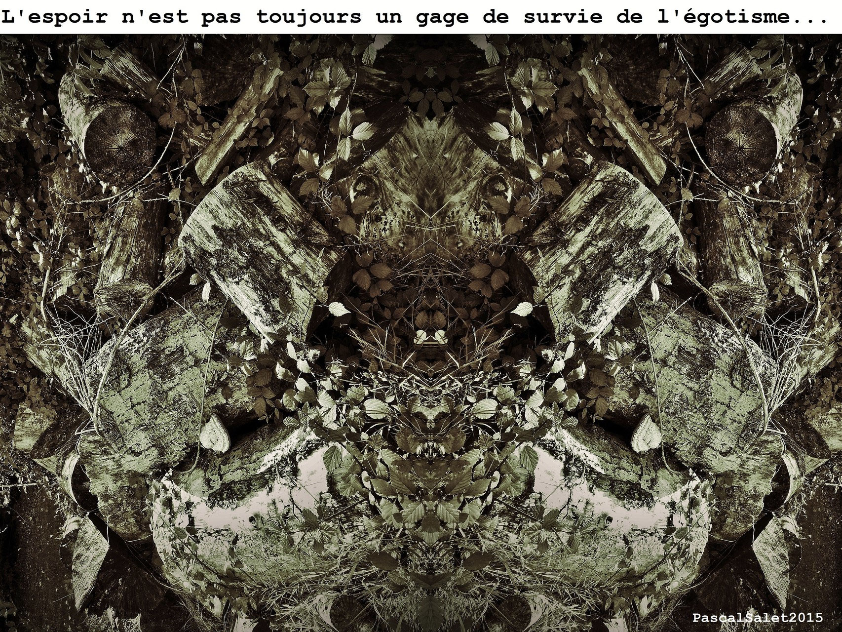 Portfolio 1 - Site de artractif