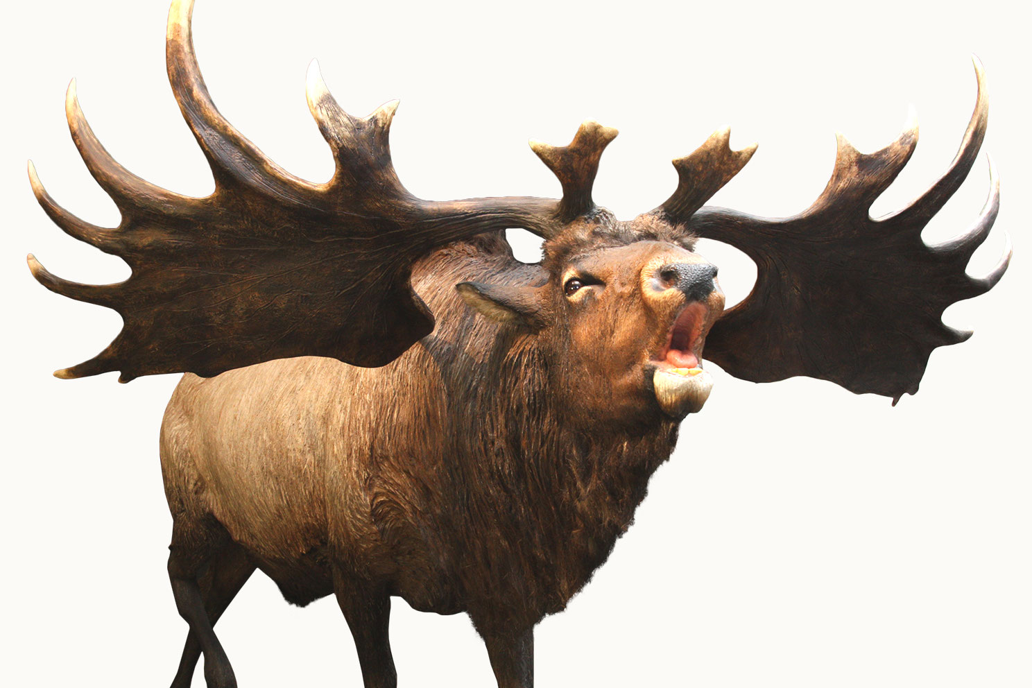 Wie alles began! Die ersten Menschen - zentral-teams Webseite!