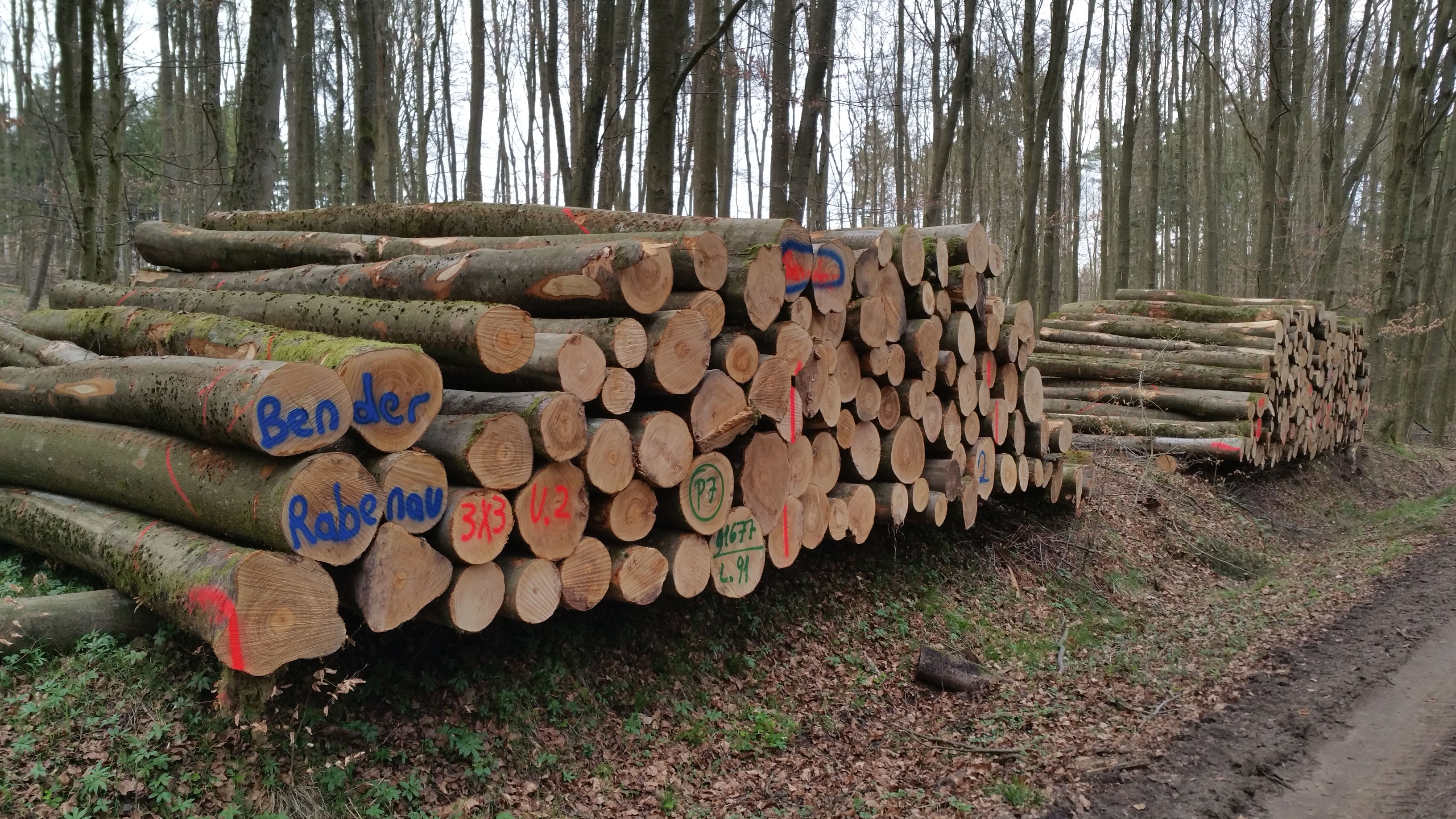 Stammholz, Brennholz & Fuhrarbeiten - Brennholz Bender