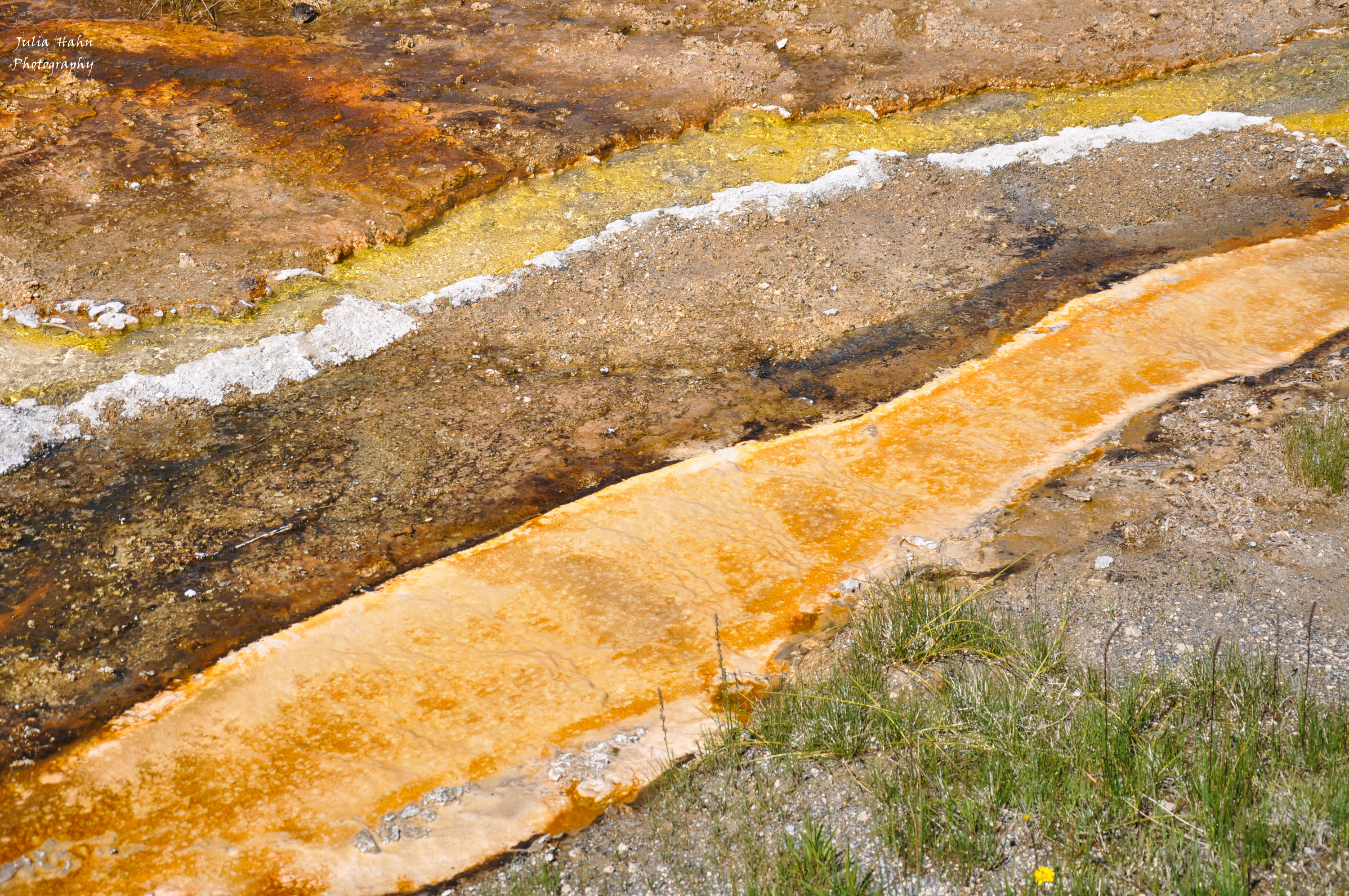 Colors of Yellowstone - Julia Hahn Photography