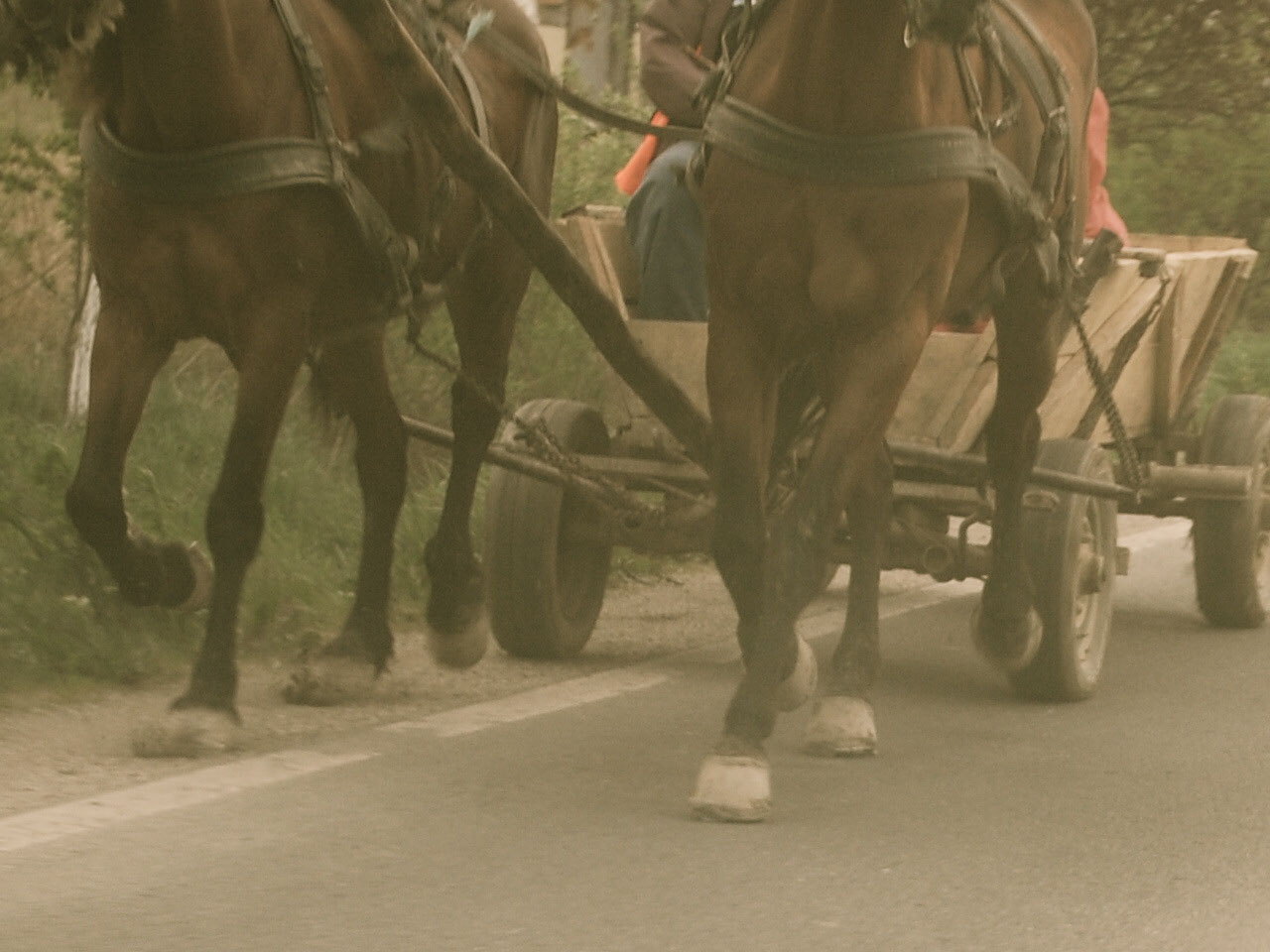 "forget about america, In Romania everything is possible..." (Theo said ...