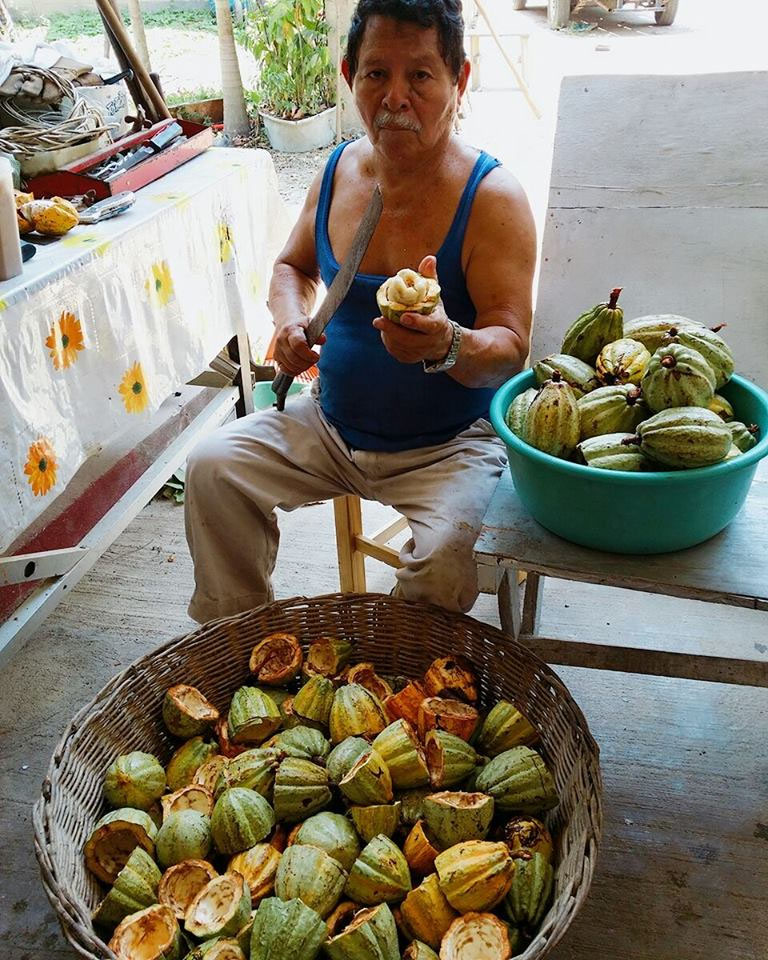 En Macuilis trabajamos arduamente para llevar hasta tu hogar productos ...