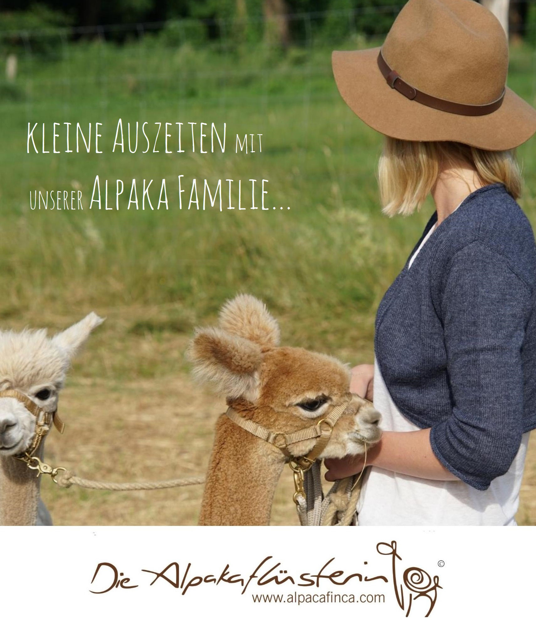 GUTSCHEINE - Die Alpakaflüsterin | Alpaca Finca im Spreewald | Alpaka ...