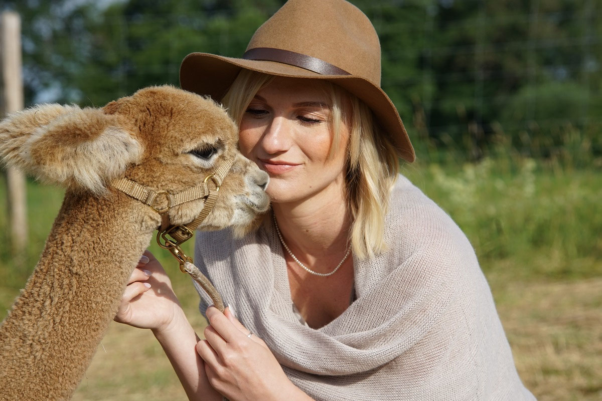 Farm Besuch, Foto Safari & ALPAKA WANDERUNG | ca. 3 Stunden - Die ...