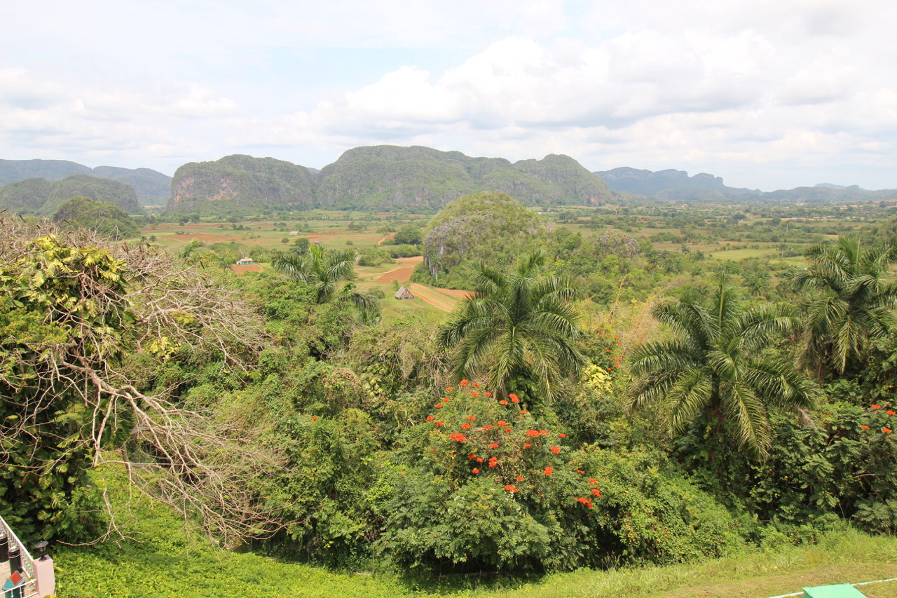Viñales-Tal - Cuba-2016 Ferienalbum