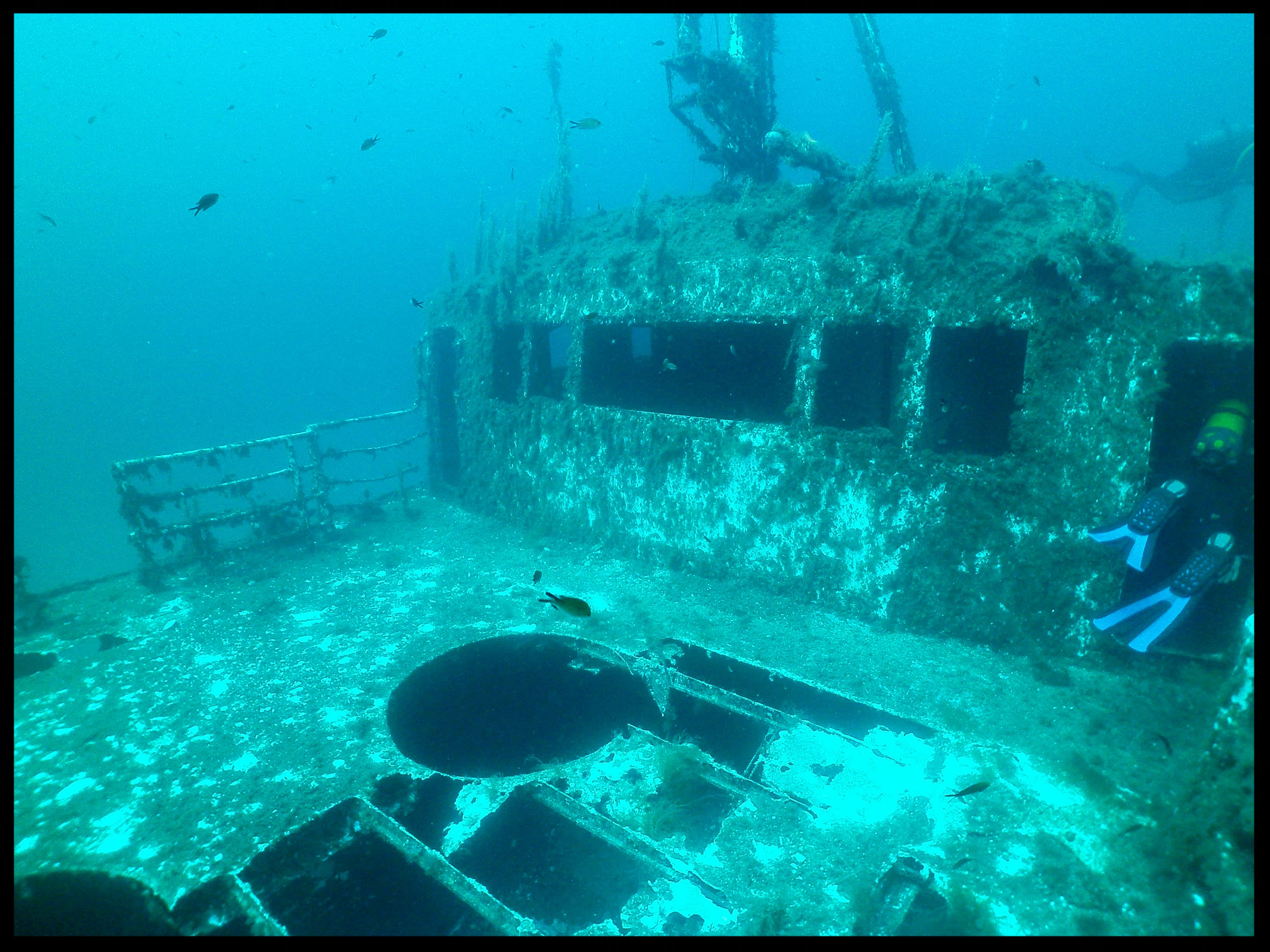 Photo Gallery - gozoindividualdiving.com