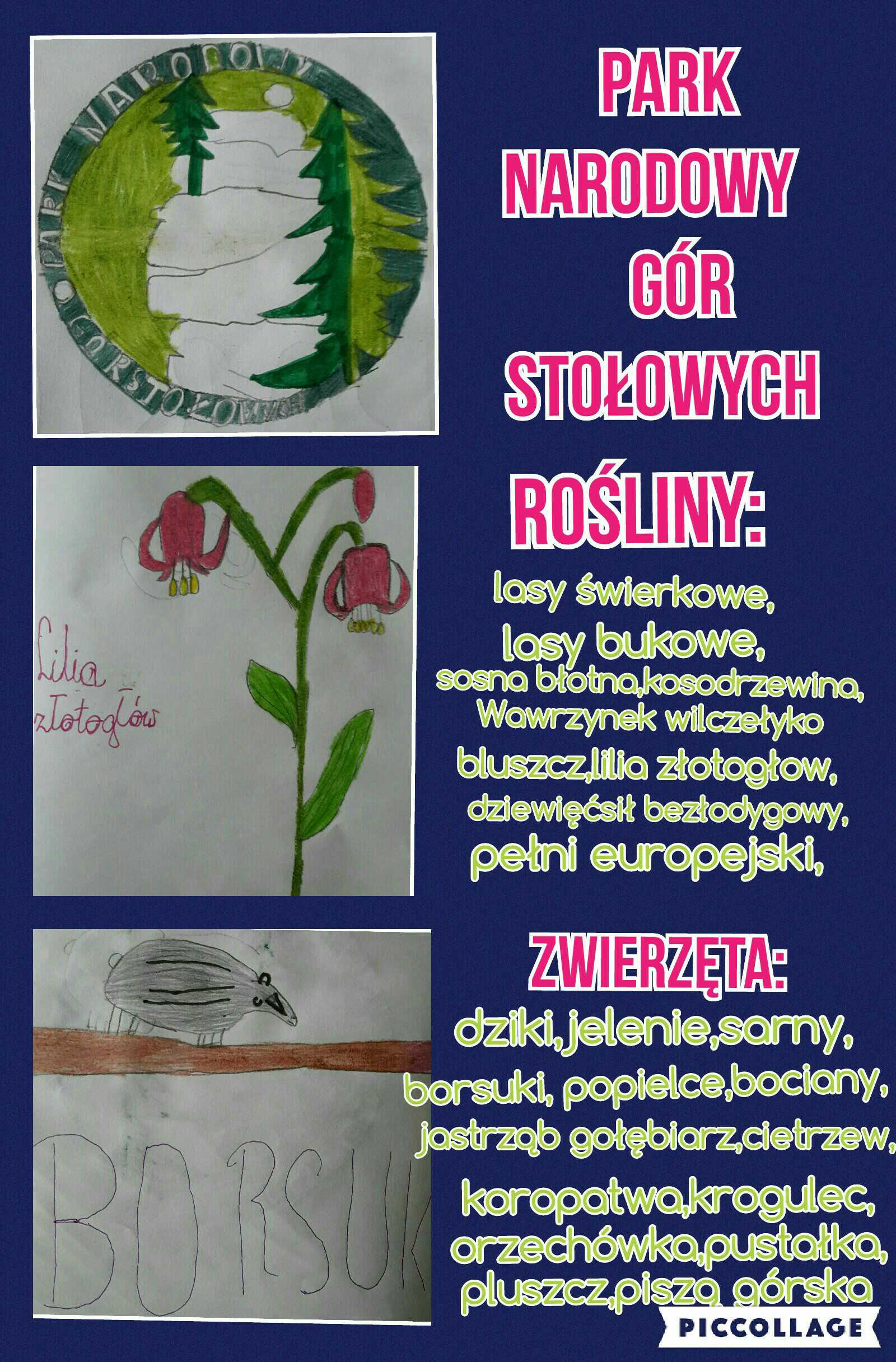 Parki narodowe Polski - Strona internetowa patyczakitableciaki!