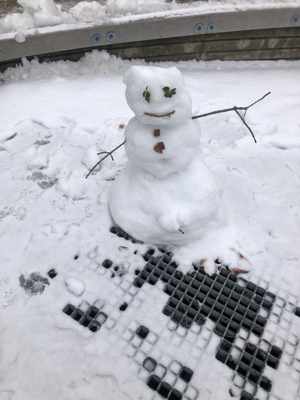 She is grateful for the snow - Gallery Arcturus - the Daily News