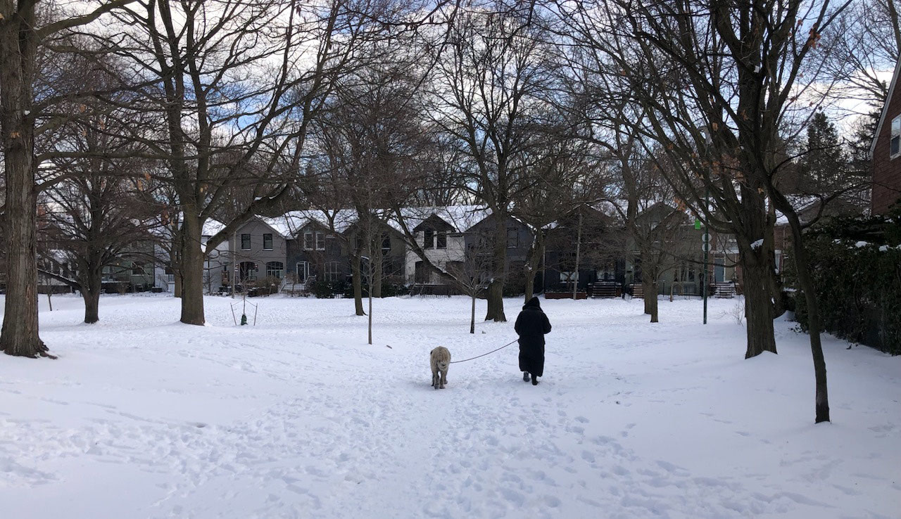 A Perfect Winter Day - Gallery Arcturus - the Daily News