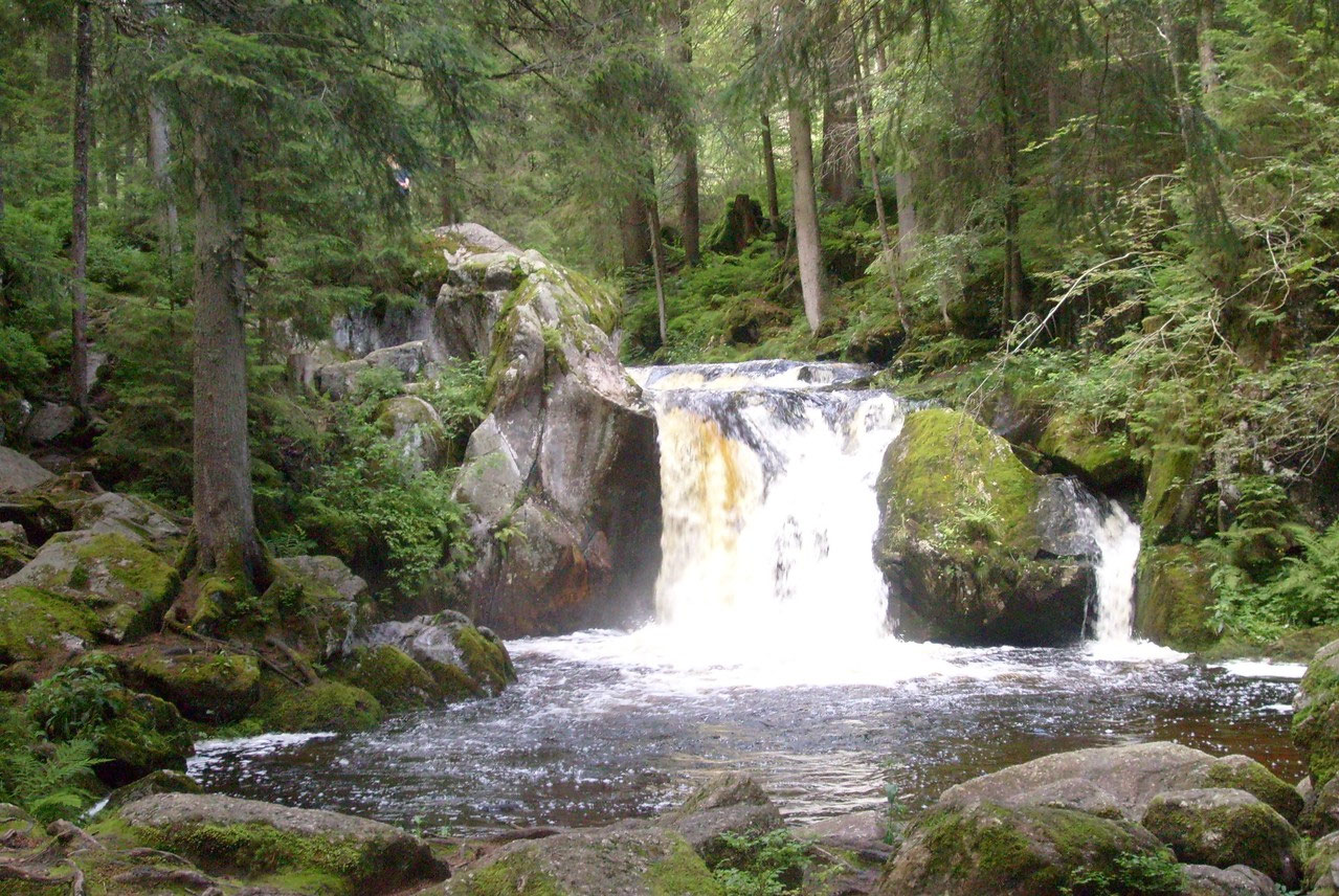 Der Hotzenwald - lebenswerter-hochrheins Webseite!