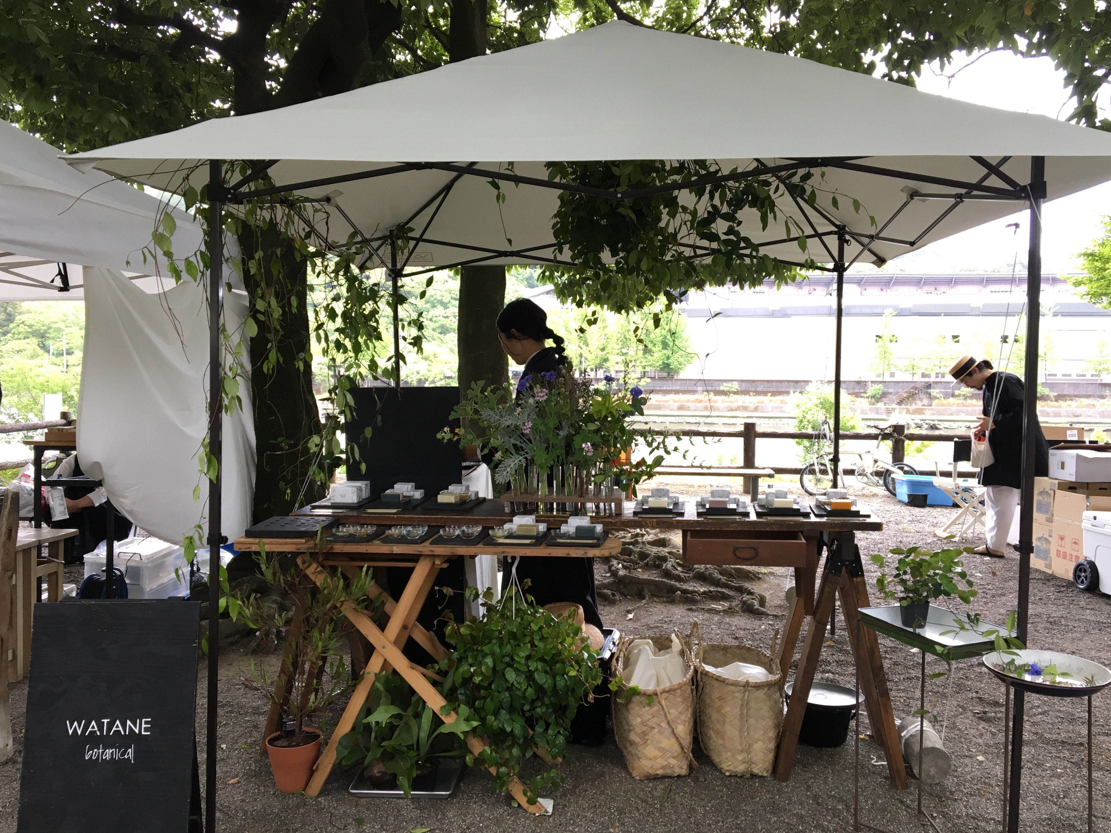 WATANE botanical - bigsunday ページ！