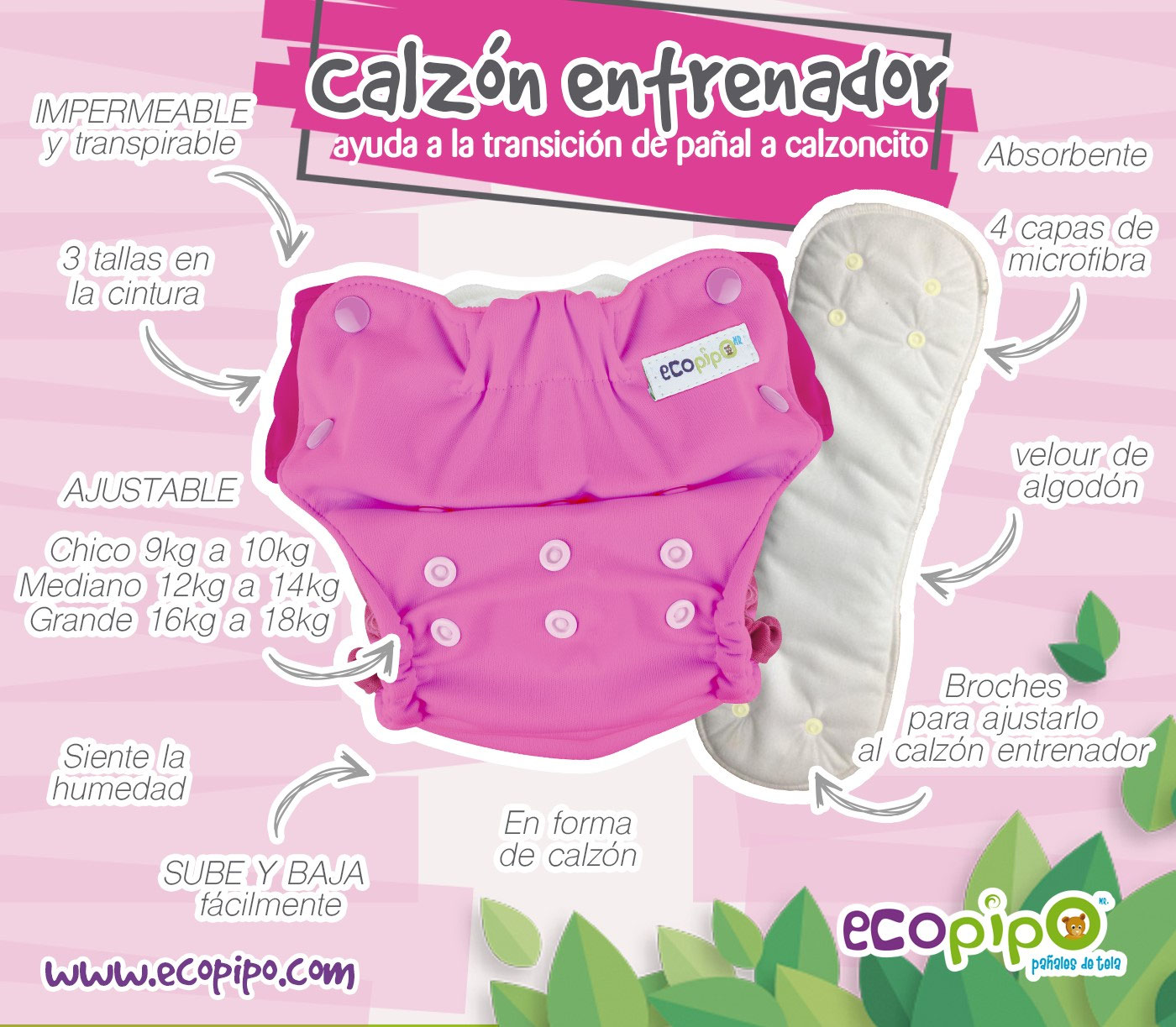 Ecopipo - Página web de holabalu