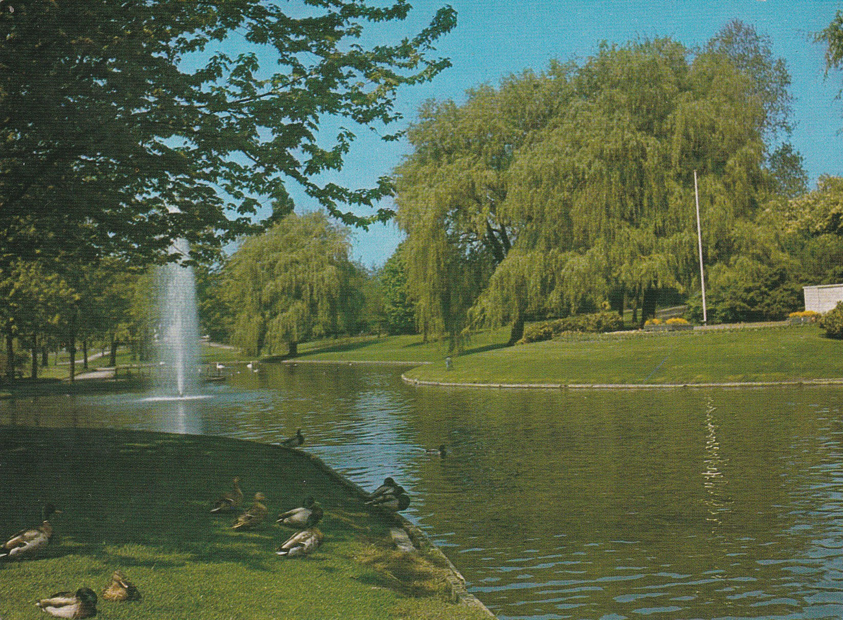 Oude Ansichtkaarten uit Zoetermeer - Old- Dutch-Postcards