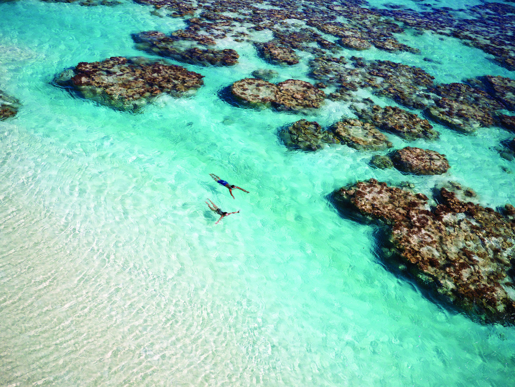 The Brando Private Island - V. Islands Marketing