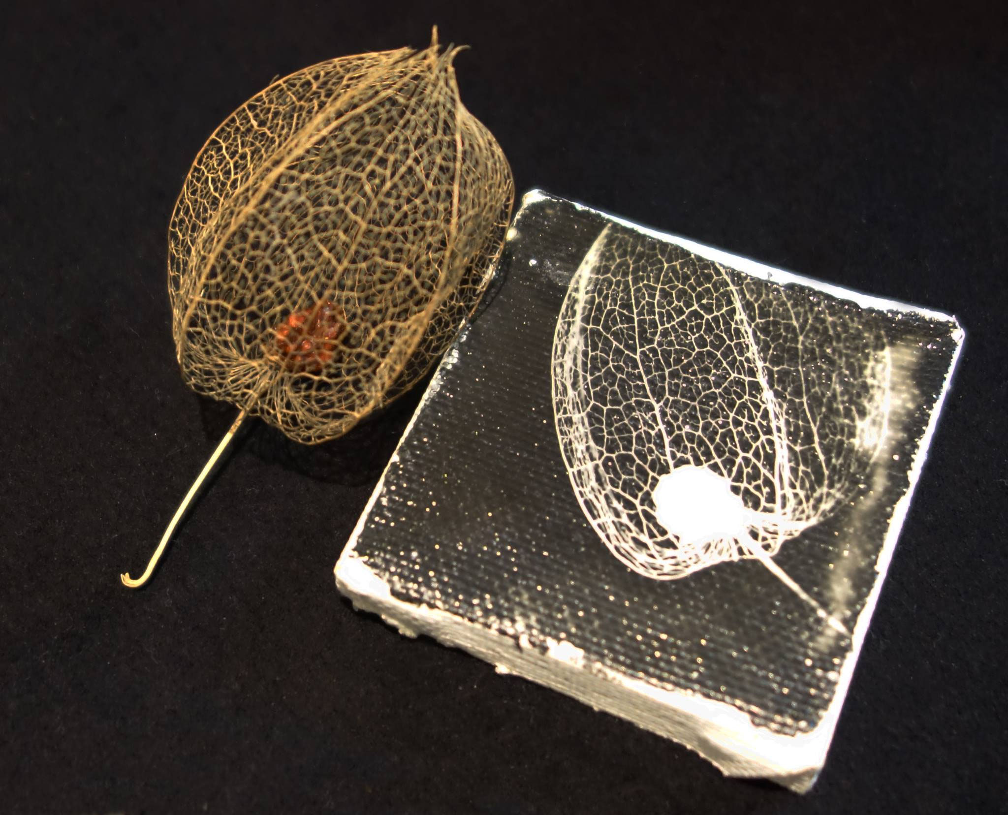 INITIATION AU Photogramme ARGENTIQUE - ARSILOÉ FORMATIONS PHOTO ET ...