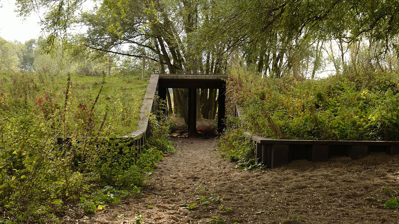 Beuningse Uiterwaarde Zomer - Hans van Hees Fotografie