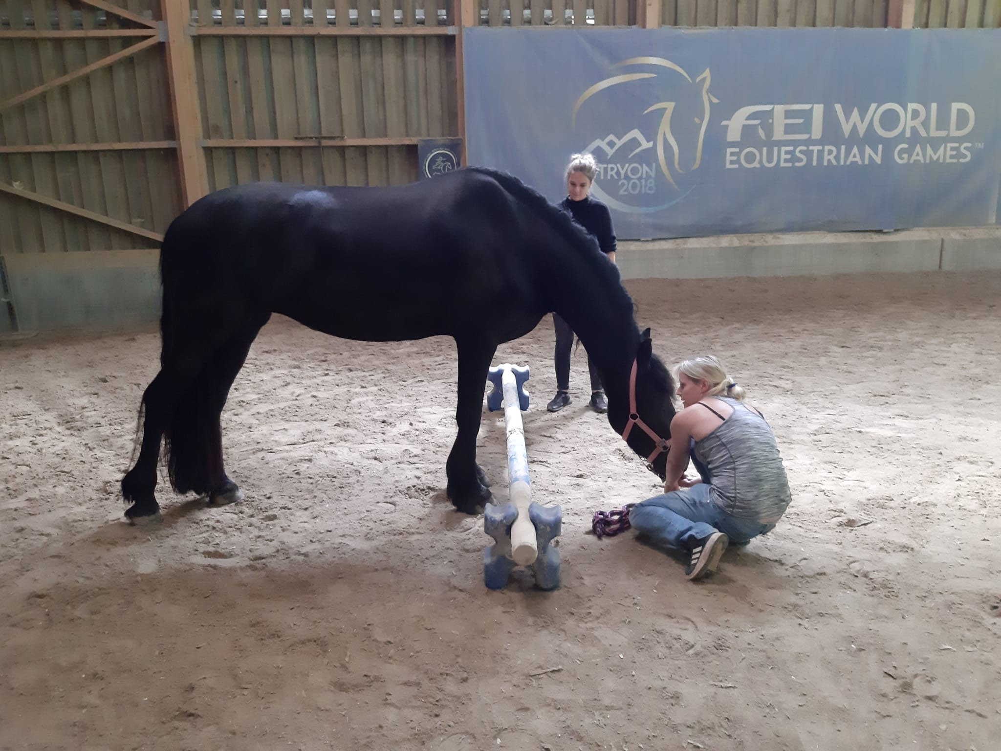 Zirkuskurs/Equikinetic mit Katharina Schneidhofer - showteam-la ...